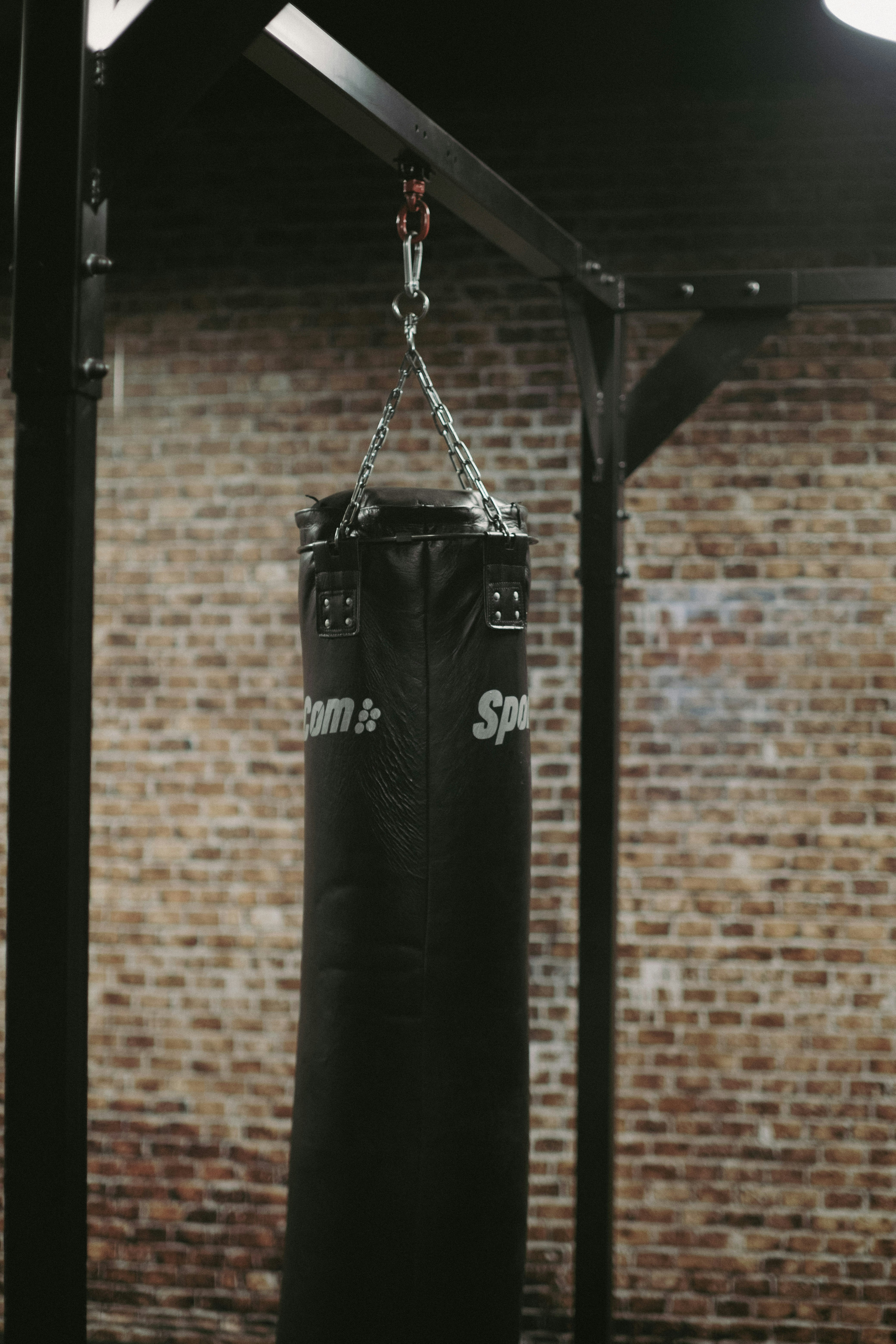 A black boxing bag hanging from a chain photo – Free Plant Image on ...