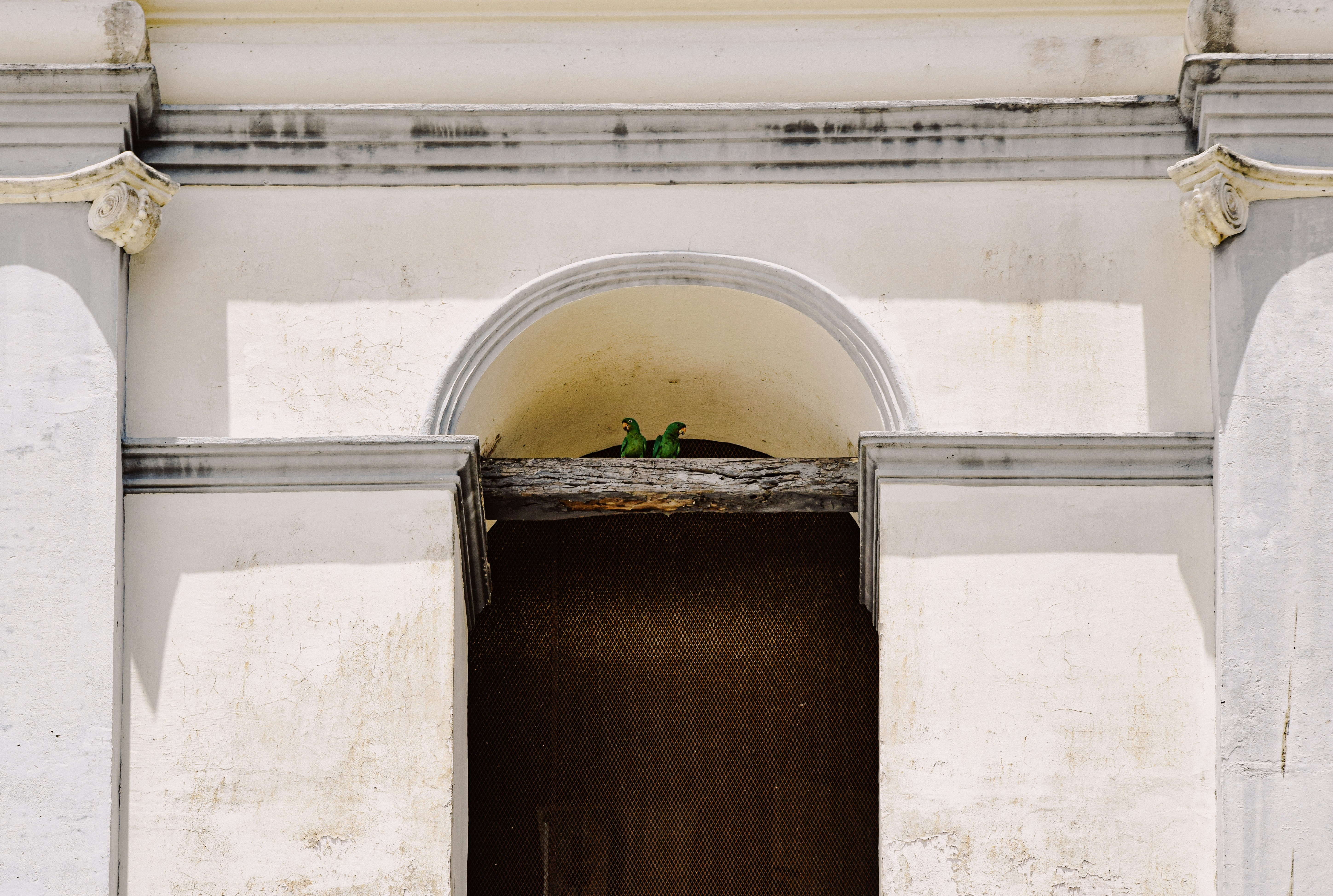 Archway with a Faint Green Ledge: A Quiet Portal