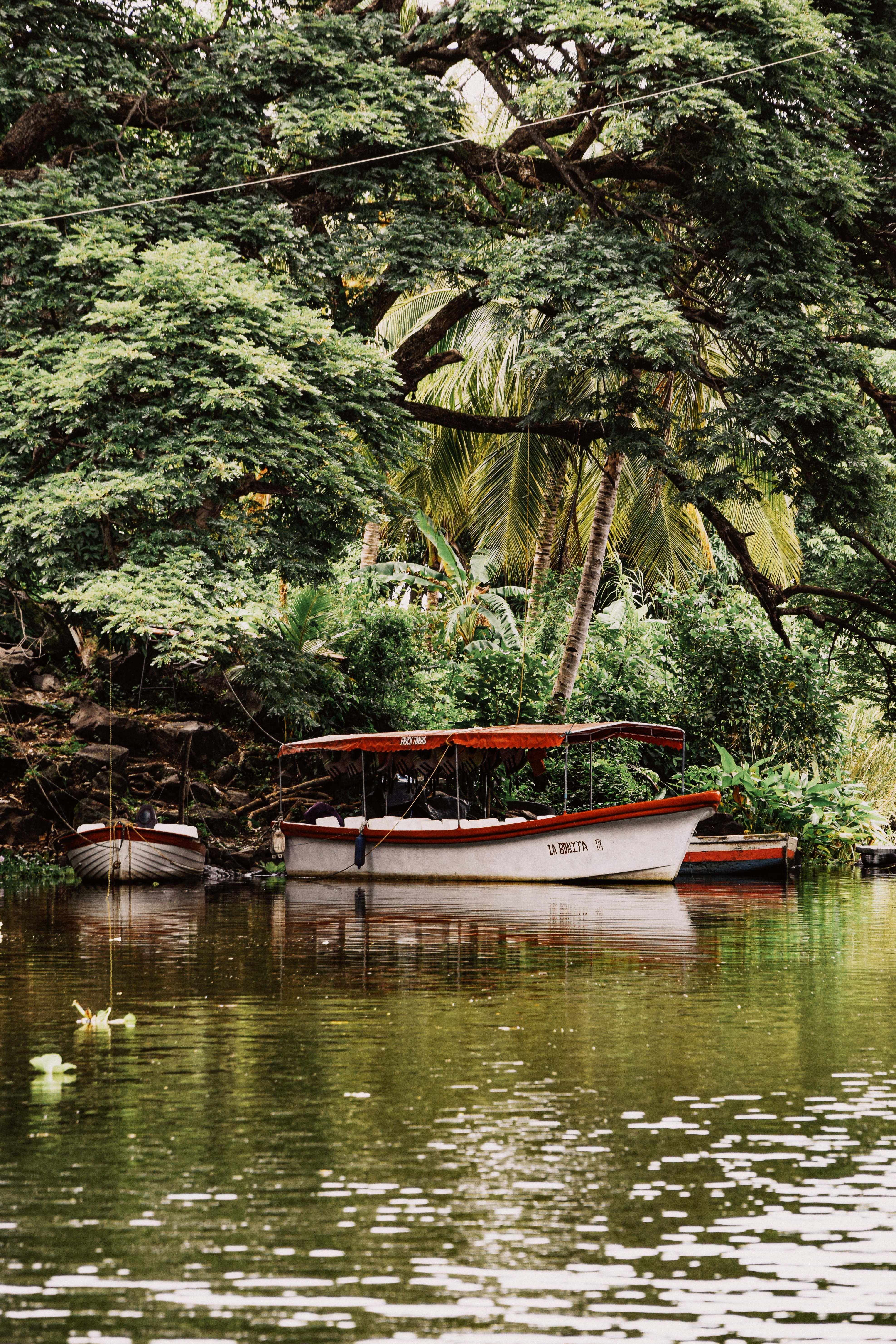 Two boats anchored in a tranquil river surrounded by lush greenery and palm trees. The scene reflects a peaceful coexistence with nature.