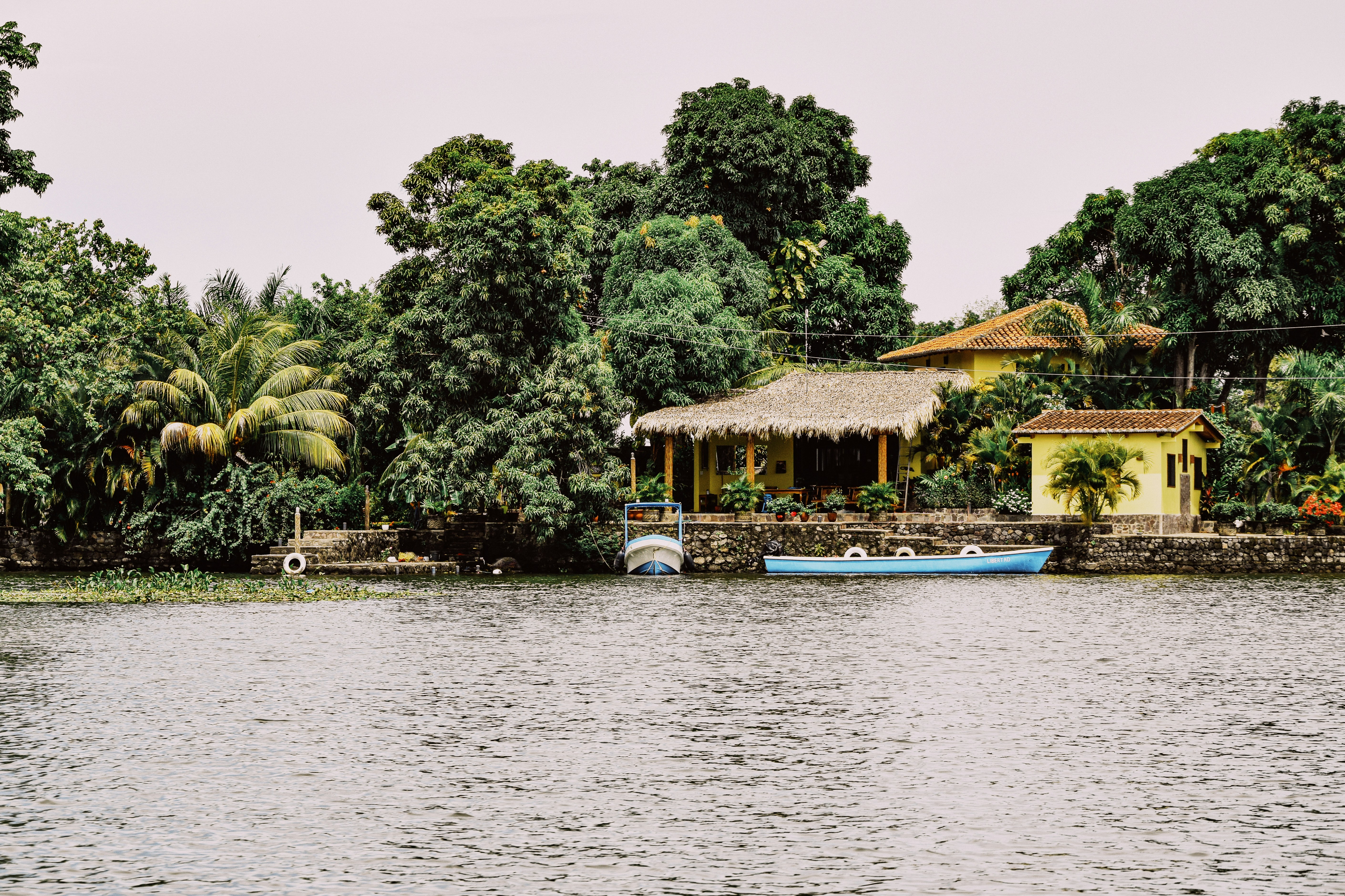 Riverside Enclave: A Yellow Cottage, a Blue Boat, and Lush Canopy