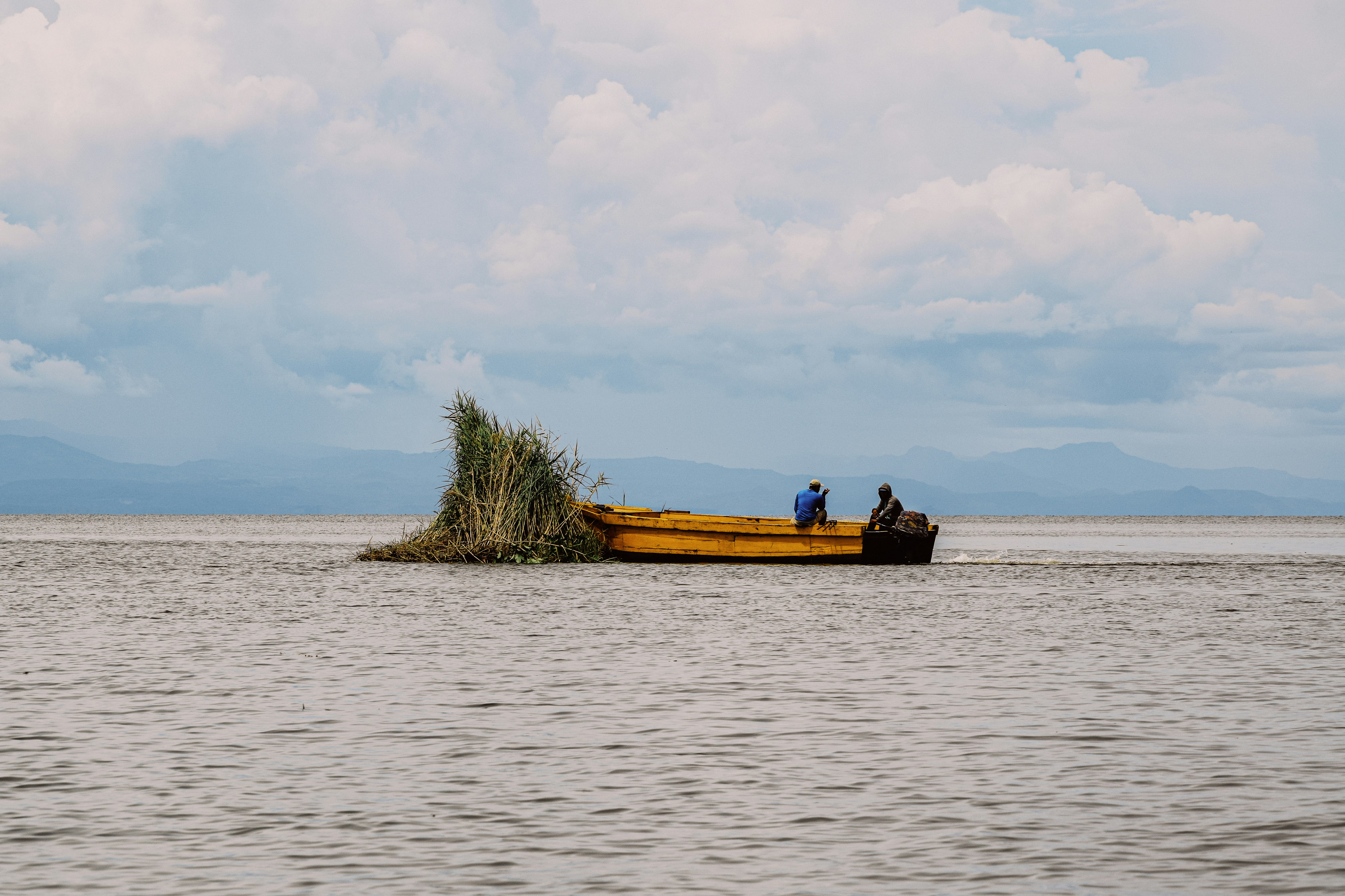 Two fishermen navigating a wooden boat surrounded by lush reeds on a tranquil lake under a cloudy sky.