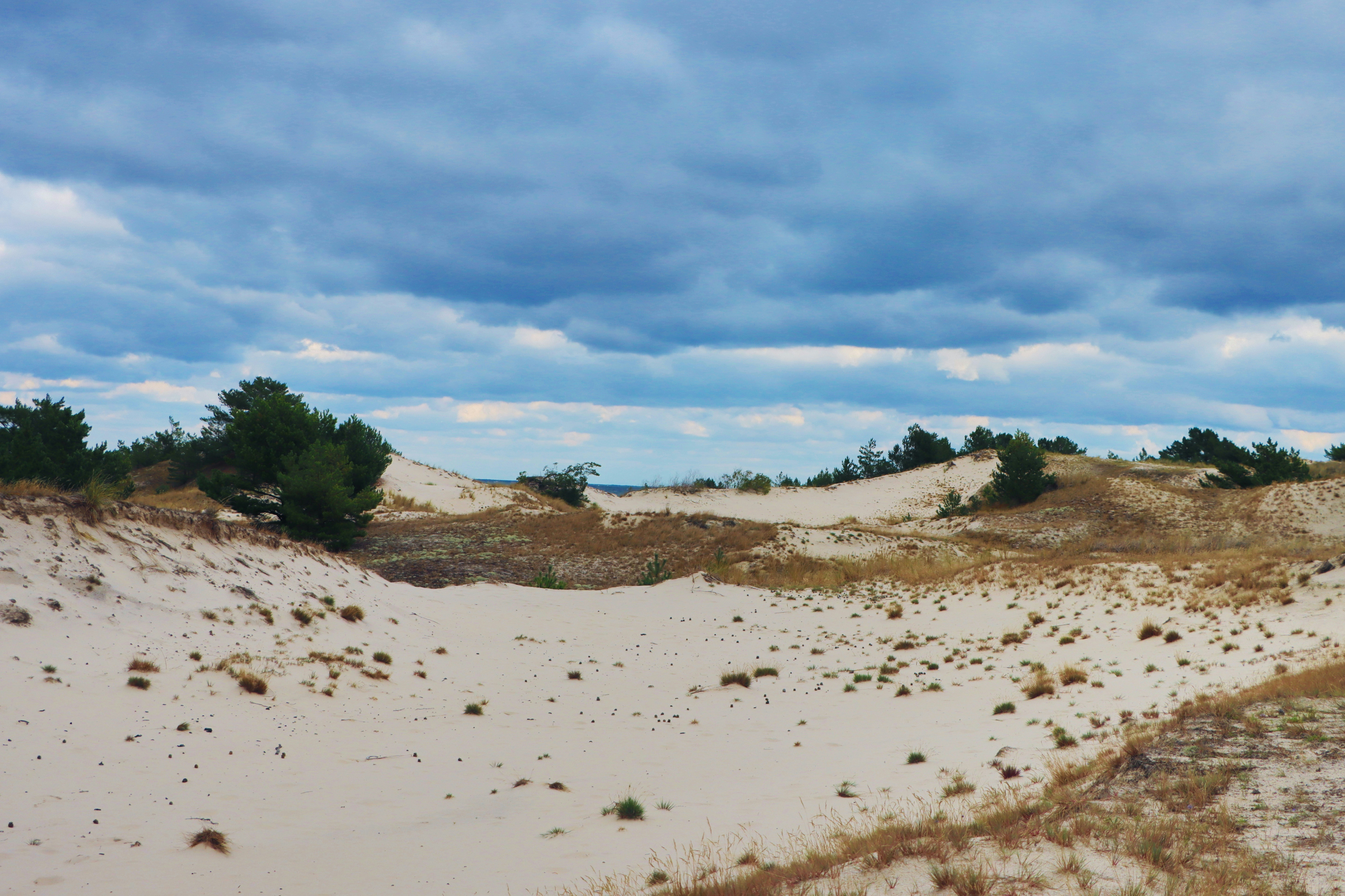 A sandy path in the middle of a field photo – Free Hel Image on Unsplash