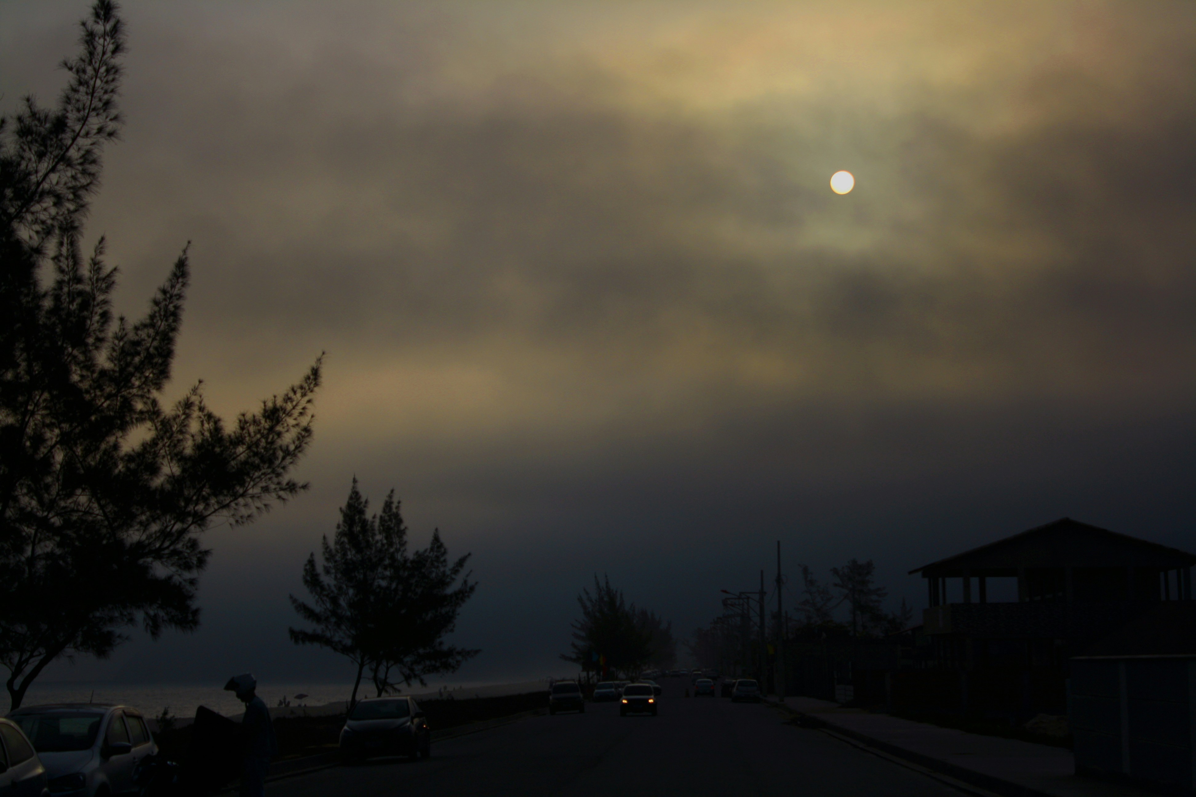 Moonlit Suburban Streetscape: Silhouettes Beneath a Quiet Moon
