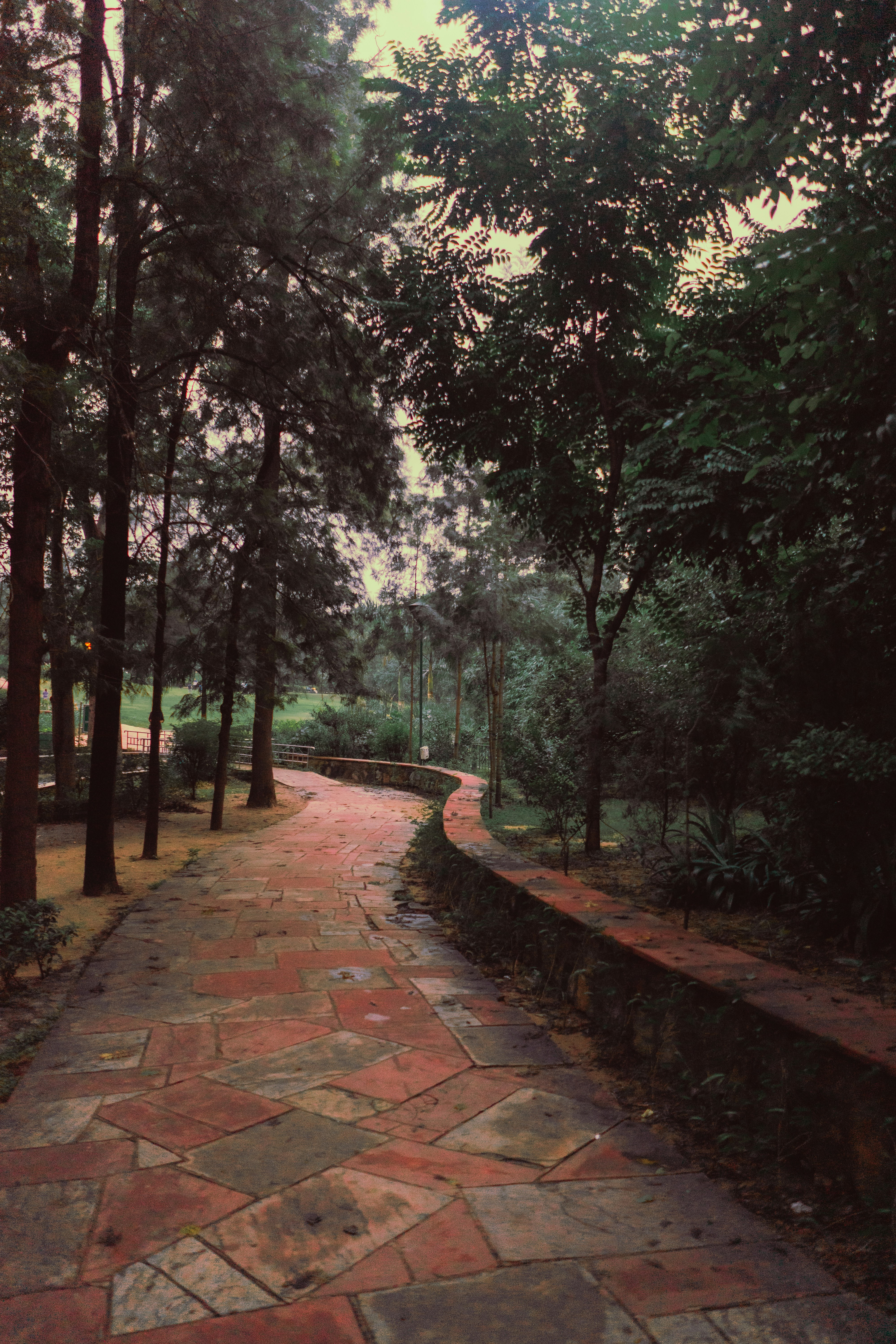 Crimson Mosaic: A Quiet Park Path Winding Toward Shadowed Pines