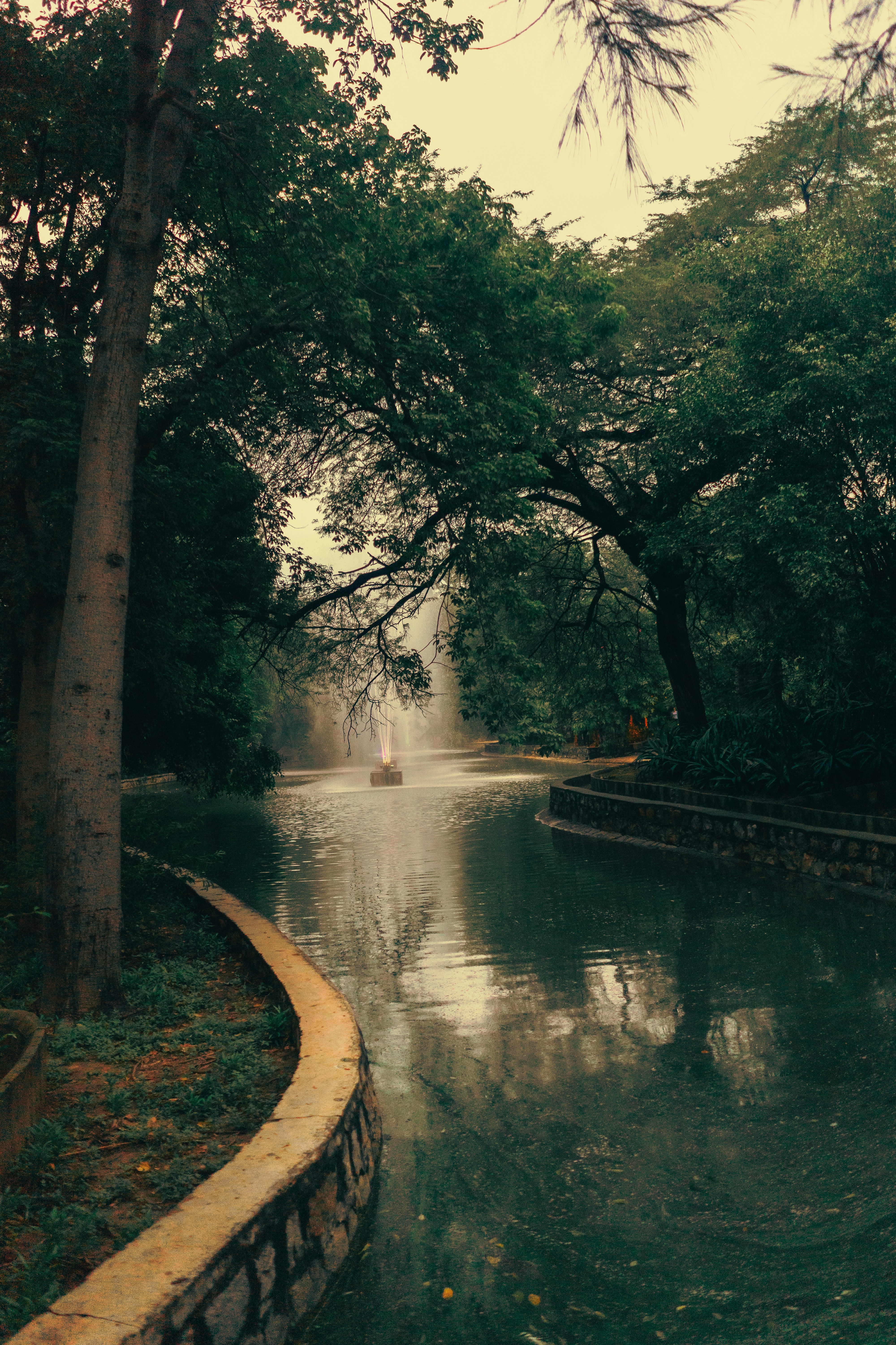 Mist over the Park Canal: A Quiet Avenue of Water and Trees