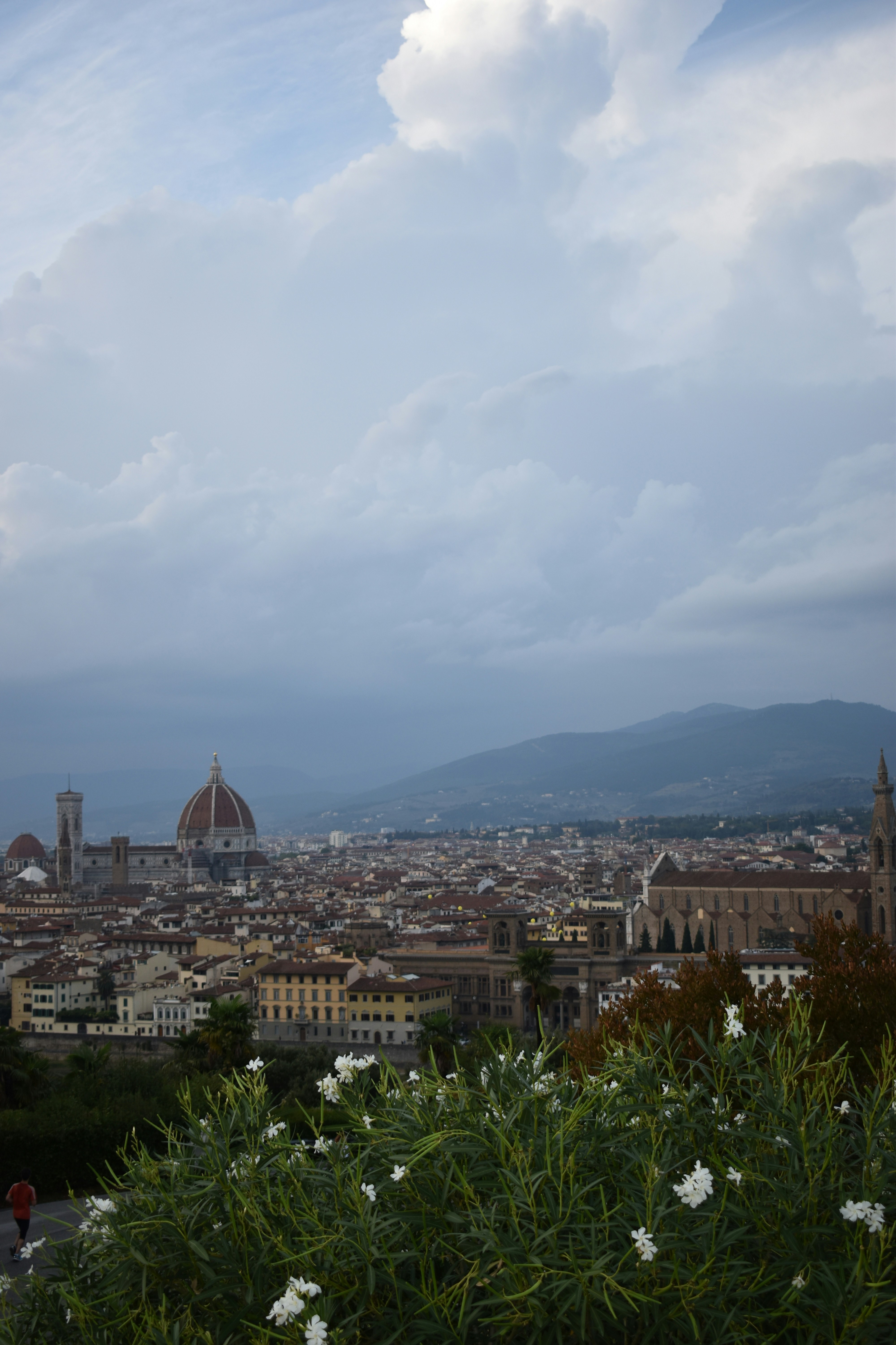 Hi there sunset.Maria Rodideal