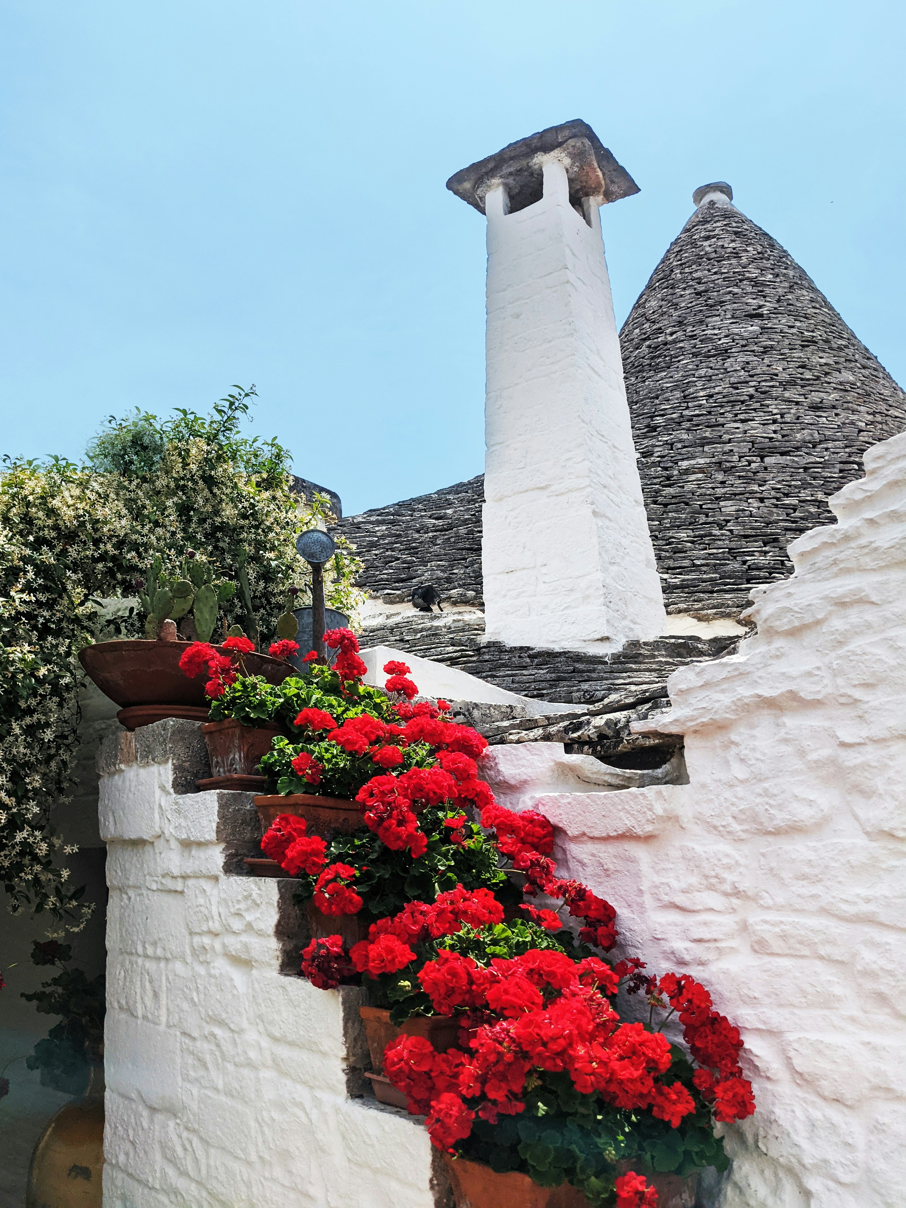 Red flowers cascade down a whitewashed stone structure beside a traditional trullo roof under a clear blue sky.