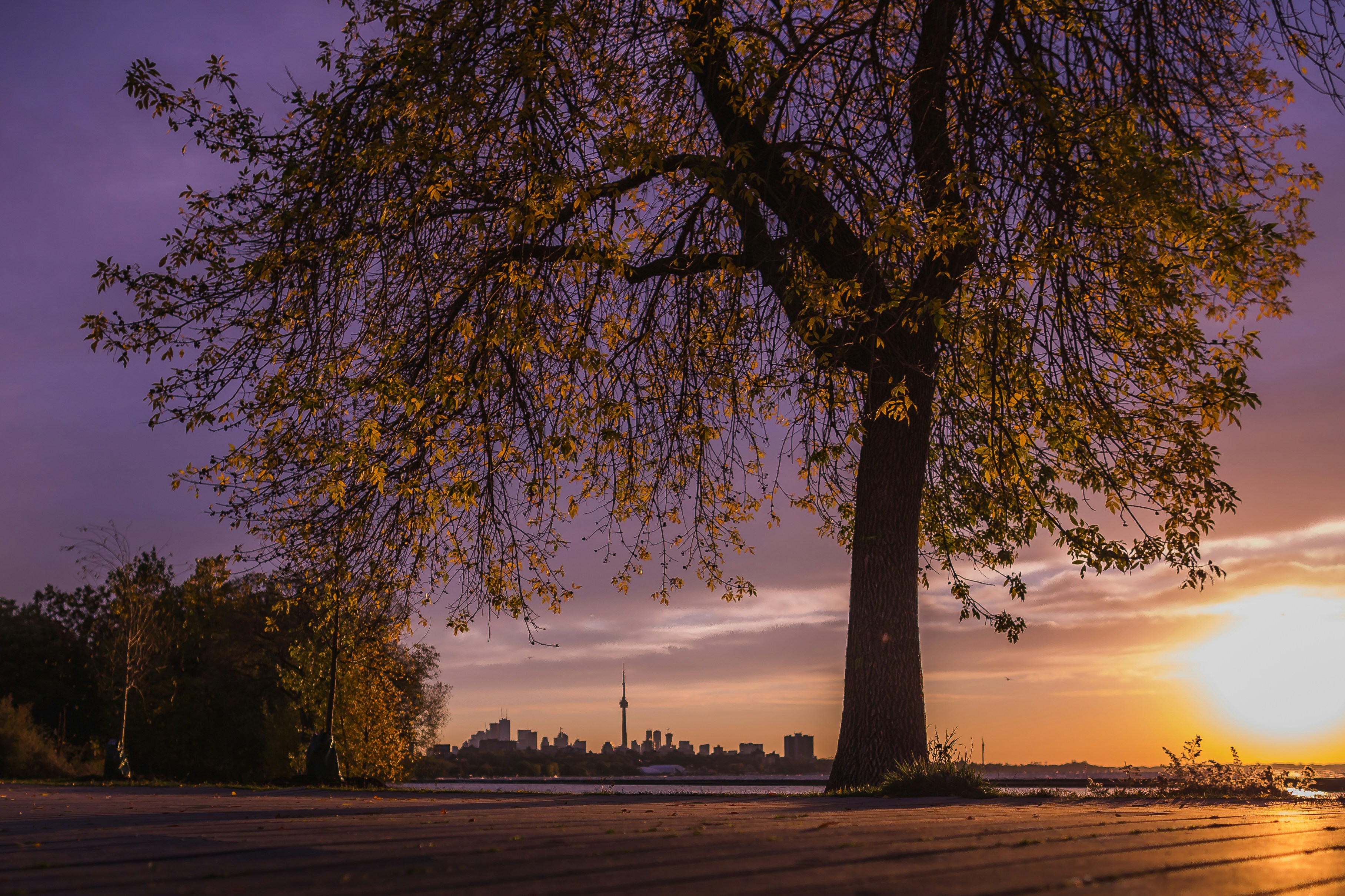 Golden Hour Solitude by the Waterfront