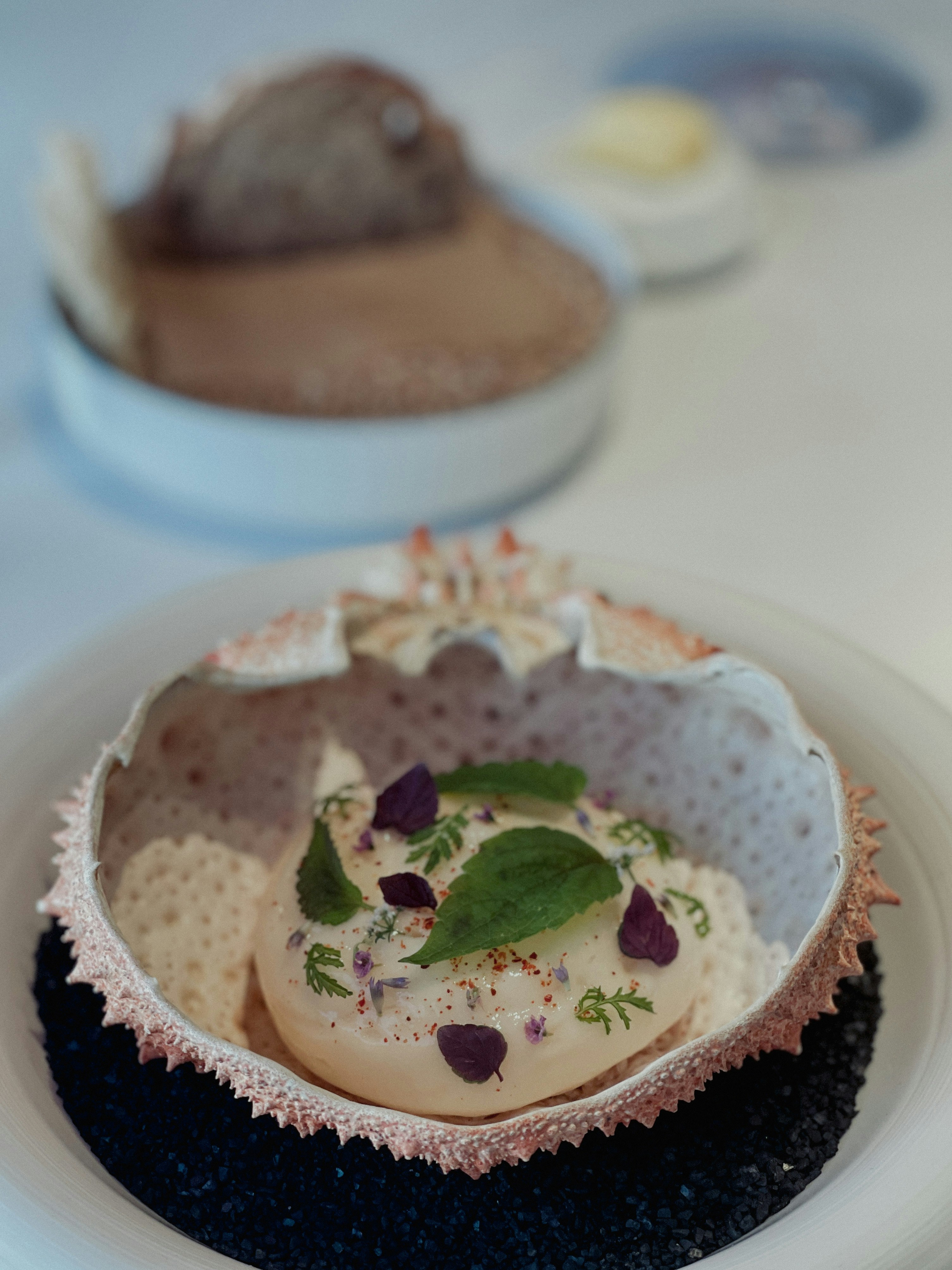 Blush Seashell Dessert: Creamy centerpiece crowned with mint and micro herbs