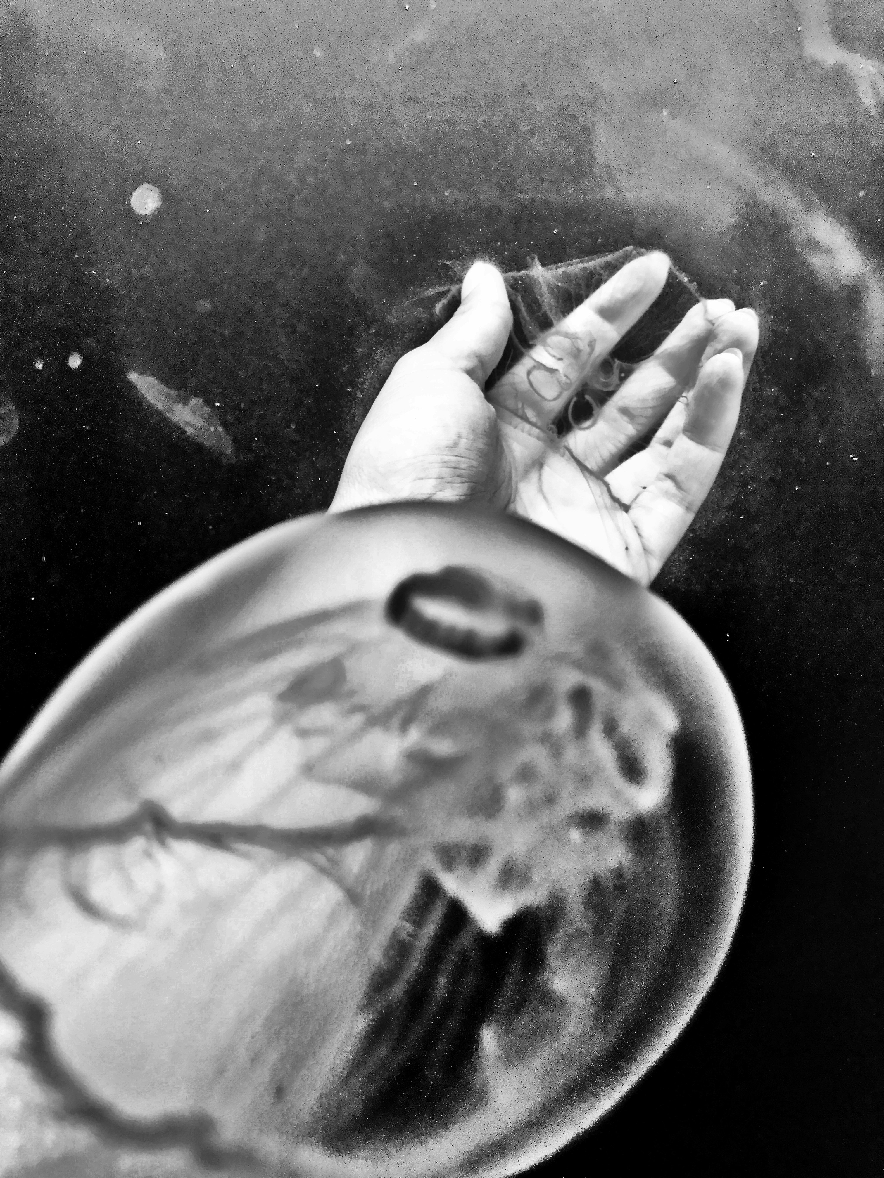 Orbital Echo: A Hand, a Bubble, and the Void