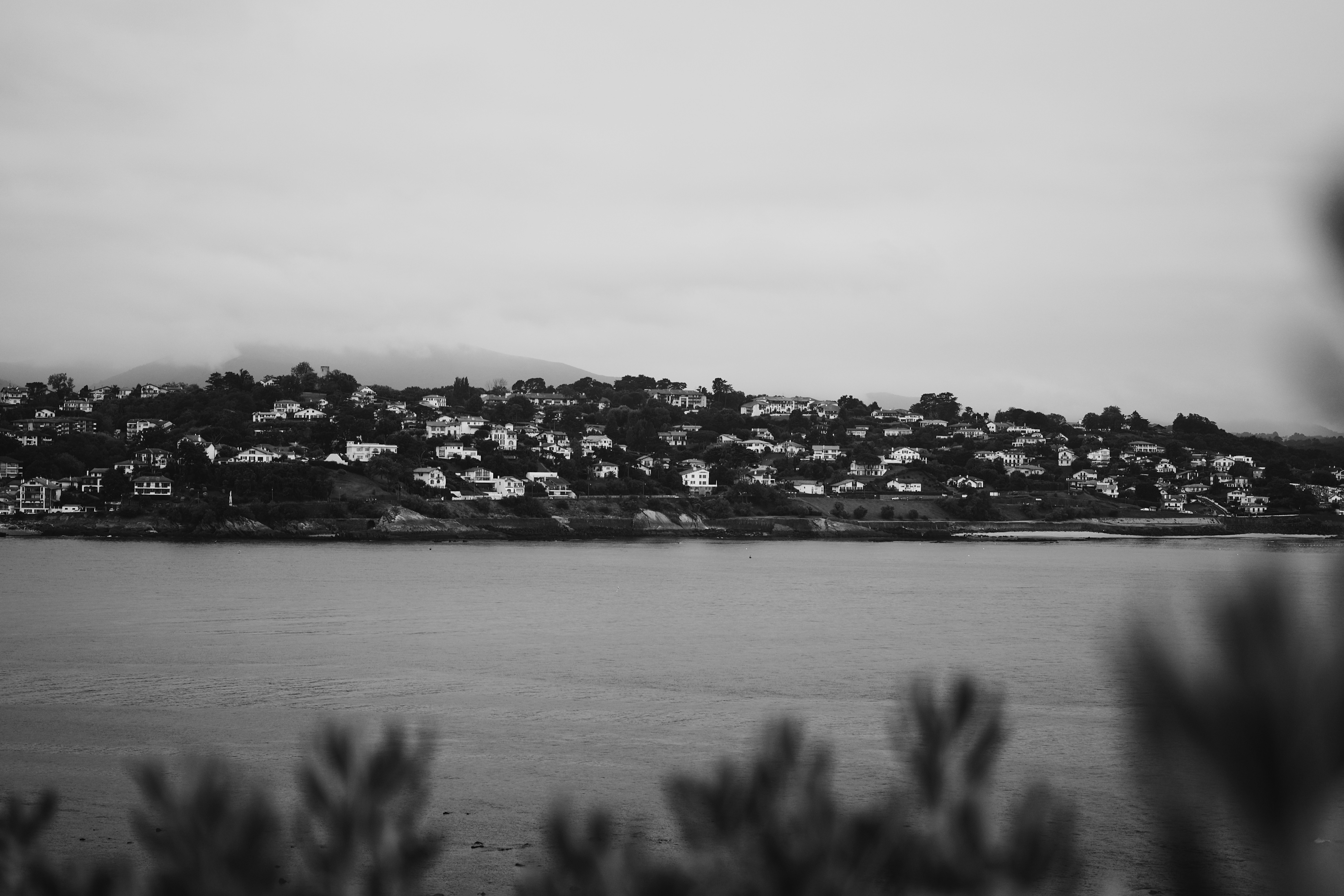 Black and white view of houses on a distant hillside across a body of water, framed by blurred foreground foliage.