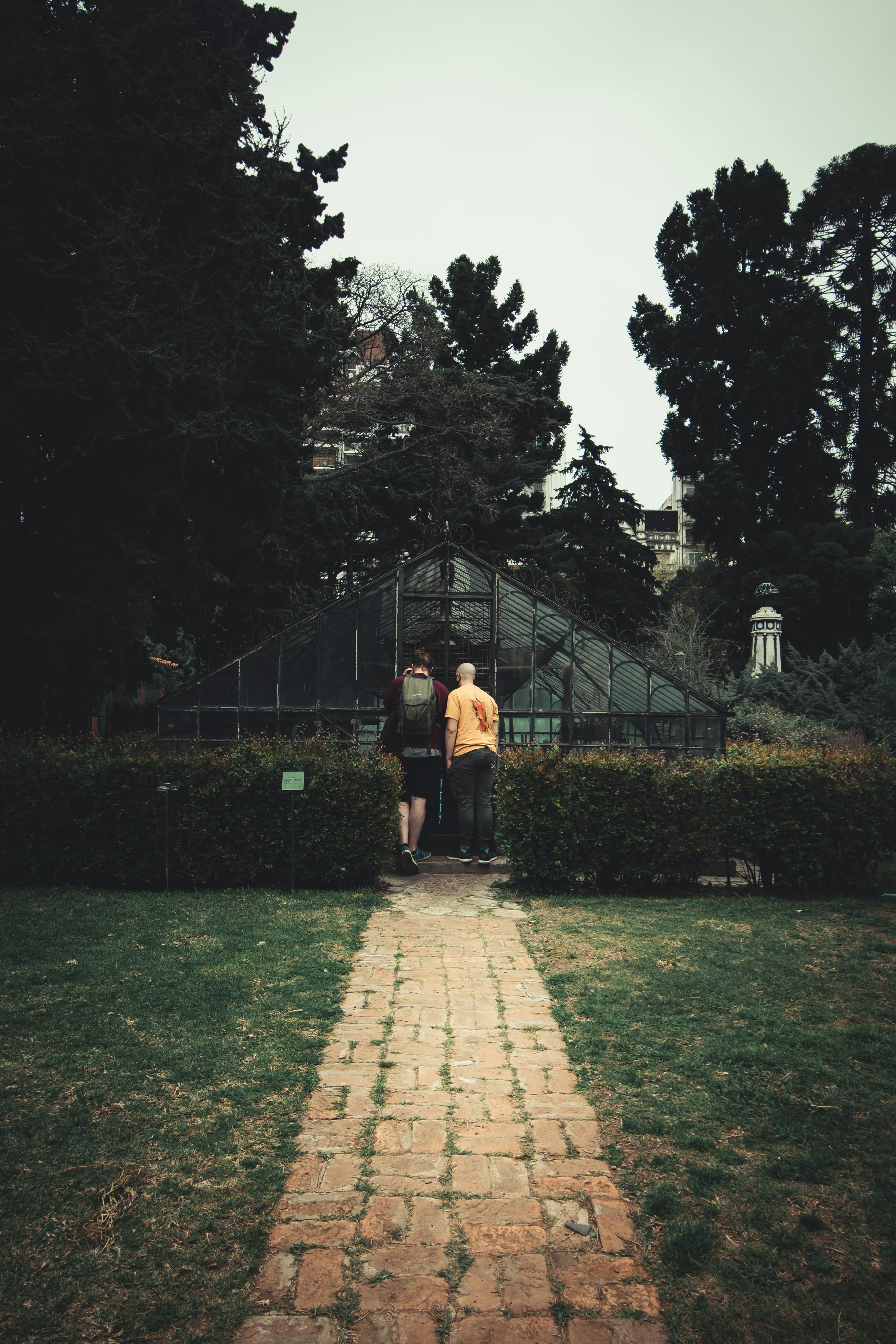 Brick Path to Glasshouse: A Quiet Garden Encounter