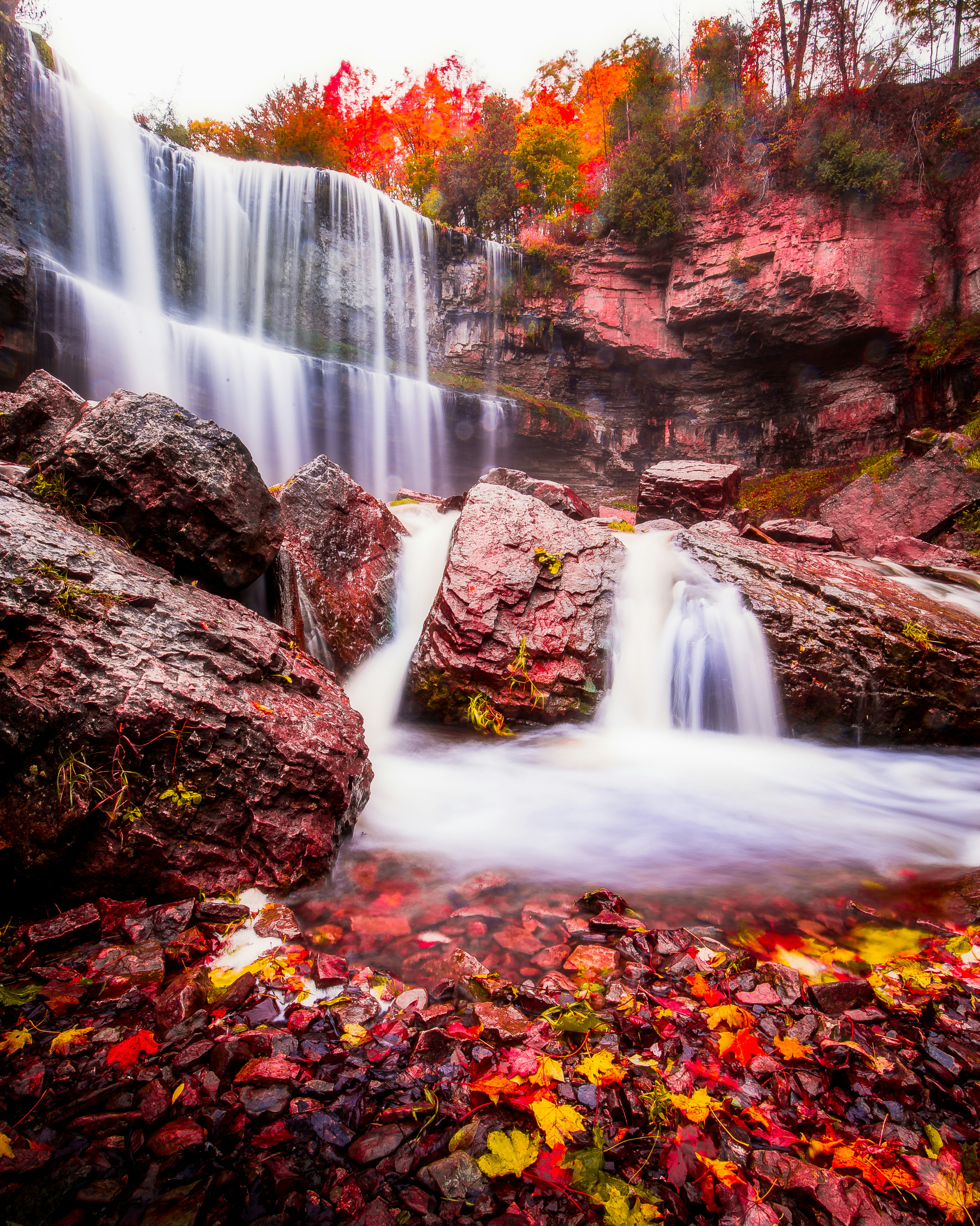 Autumn Cascade: A Stream Carved Through Red Rock and Scarlet Leaves