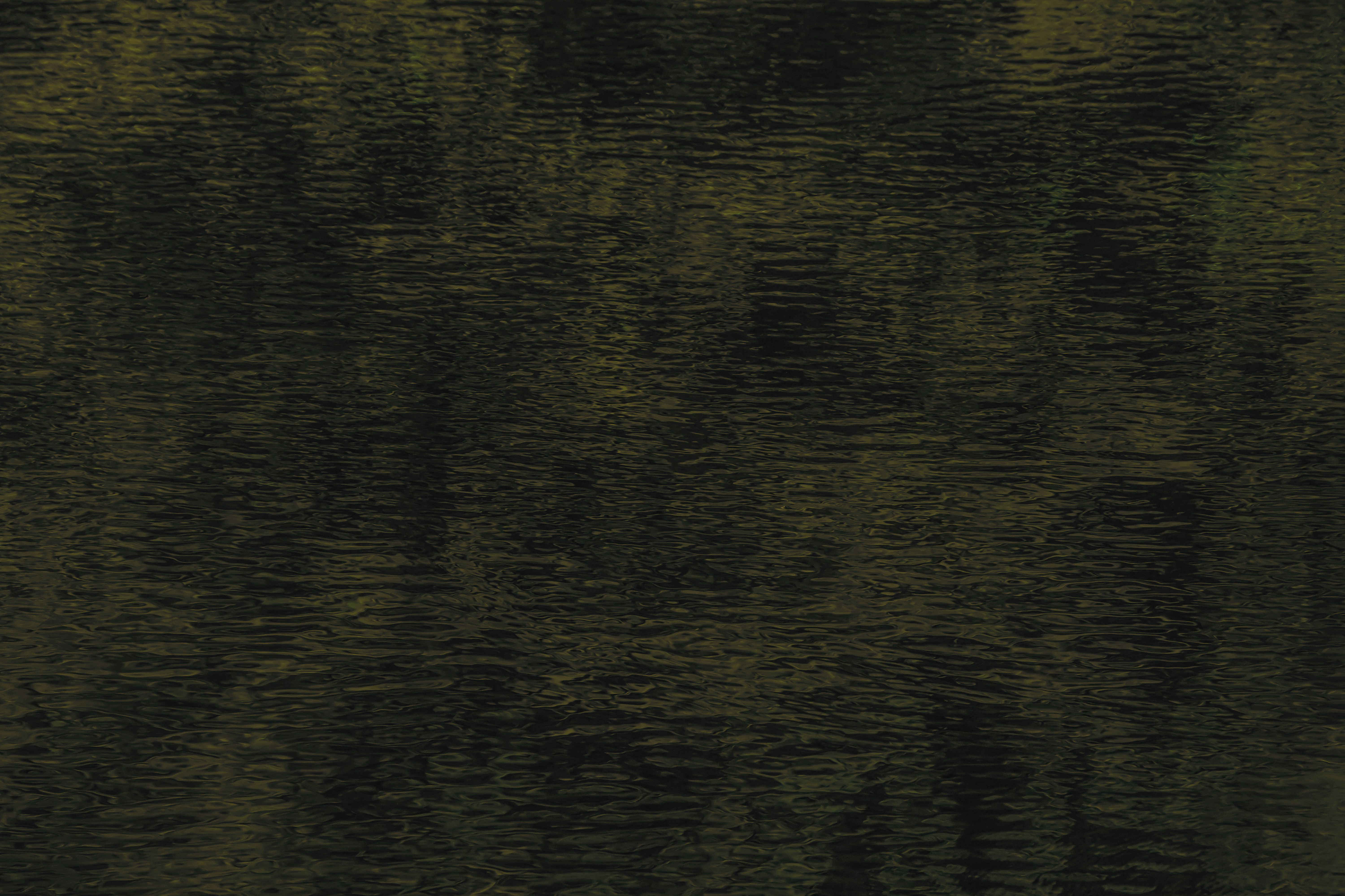 Dark, textured water surface reflecting subtle hues of nature, creating a serene atmosphere.