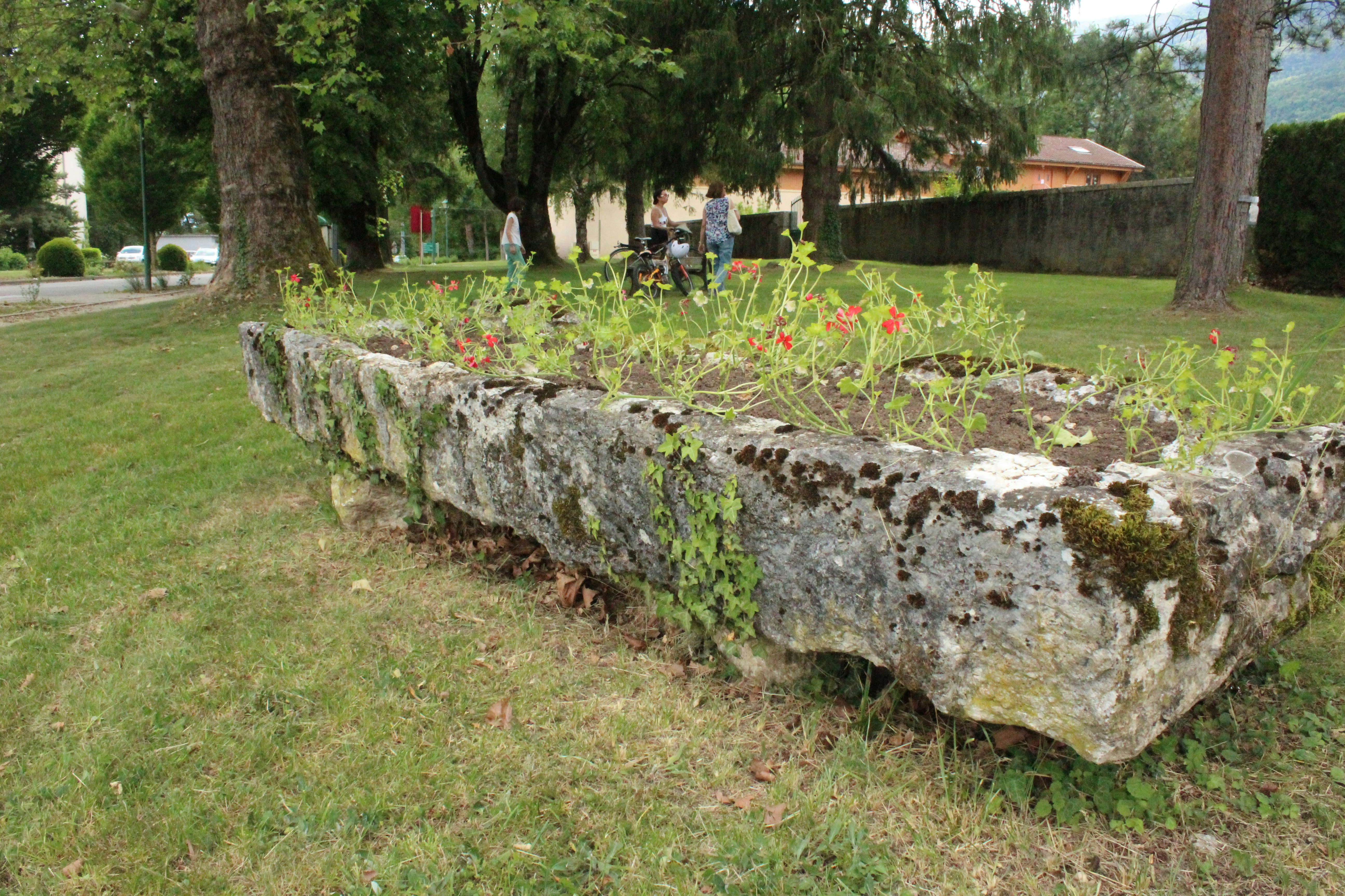 Meu Key (@meuphoto) | Unsplash Photo Community