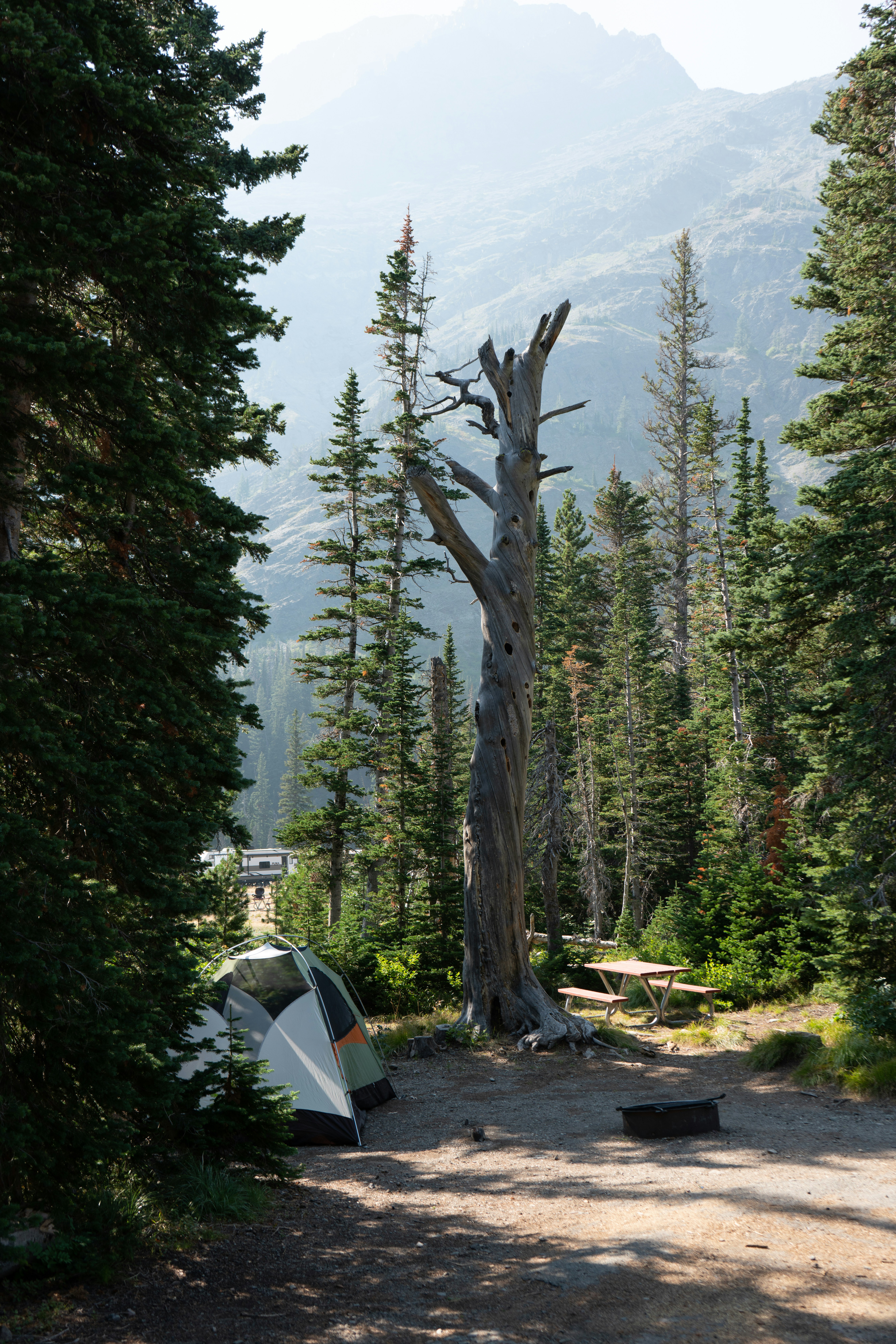 a tent is pitched up next to a tree