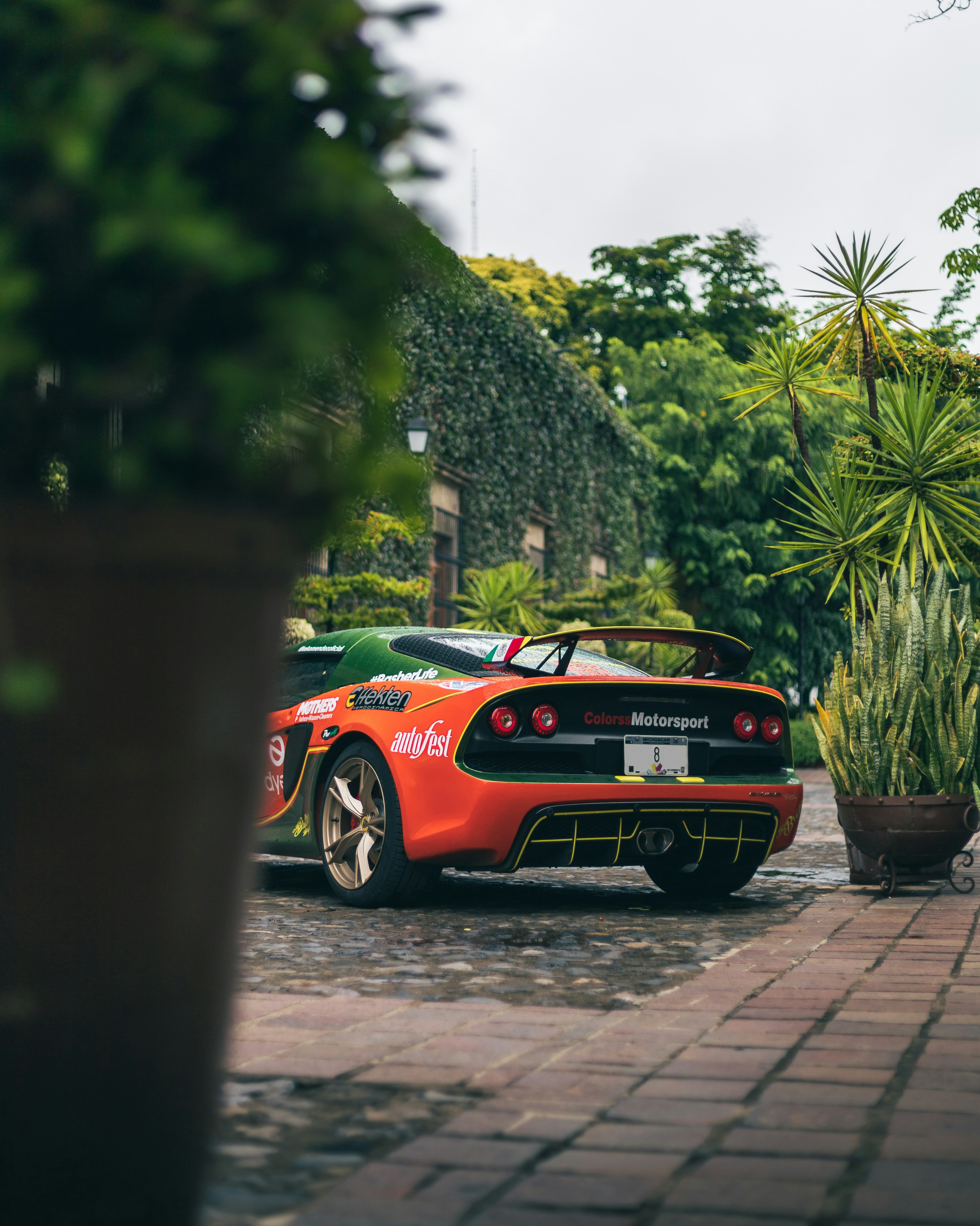Scarlet Racer in a Quiet Courtyard Garden