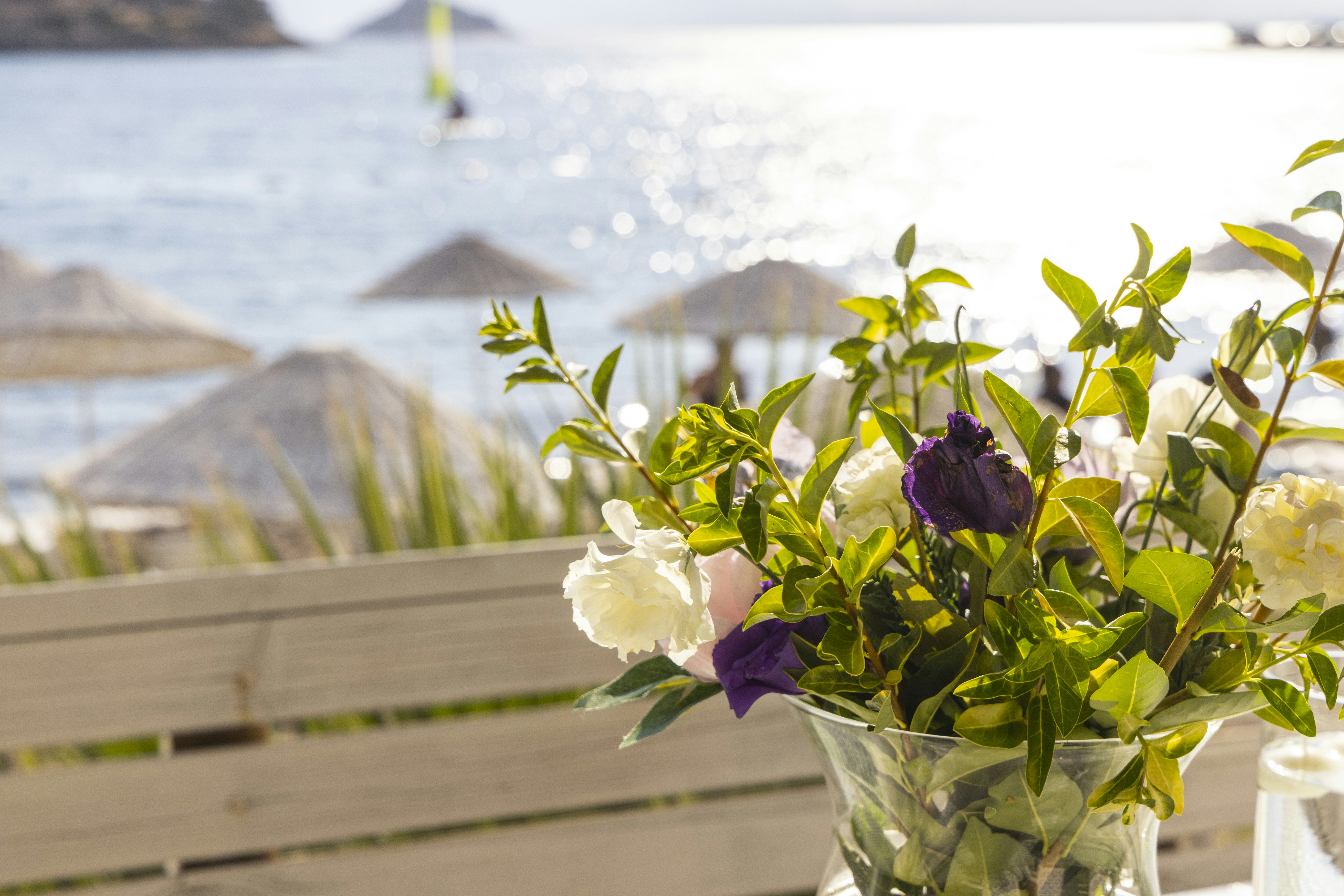 Bouquet by the Sea: Sunlit White Blooms at a Seaside Table