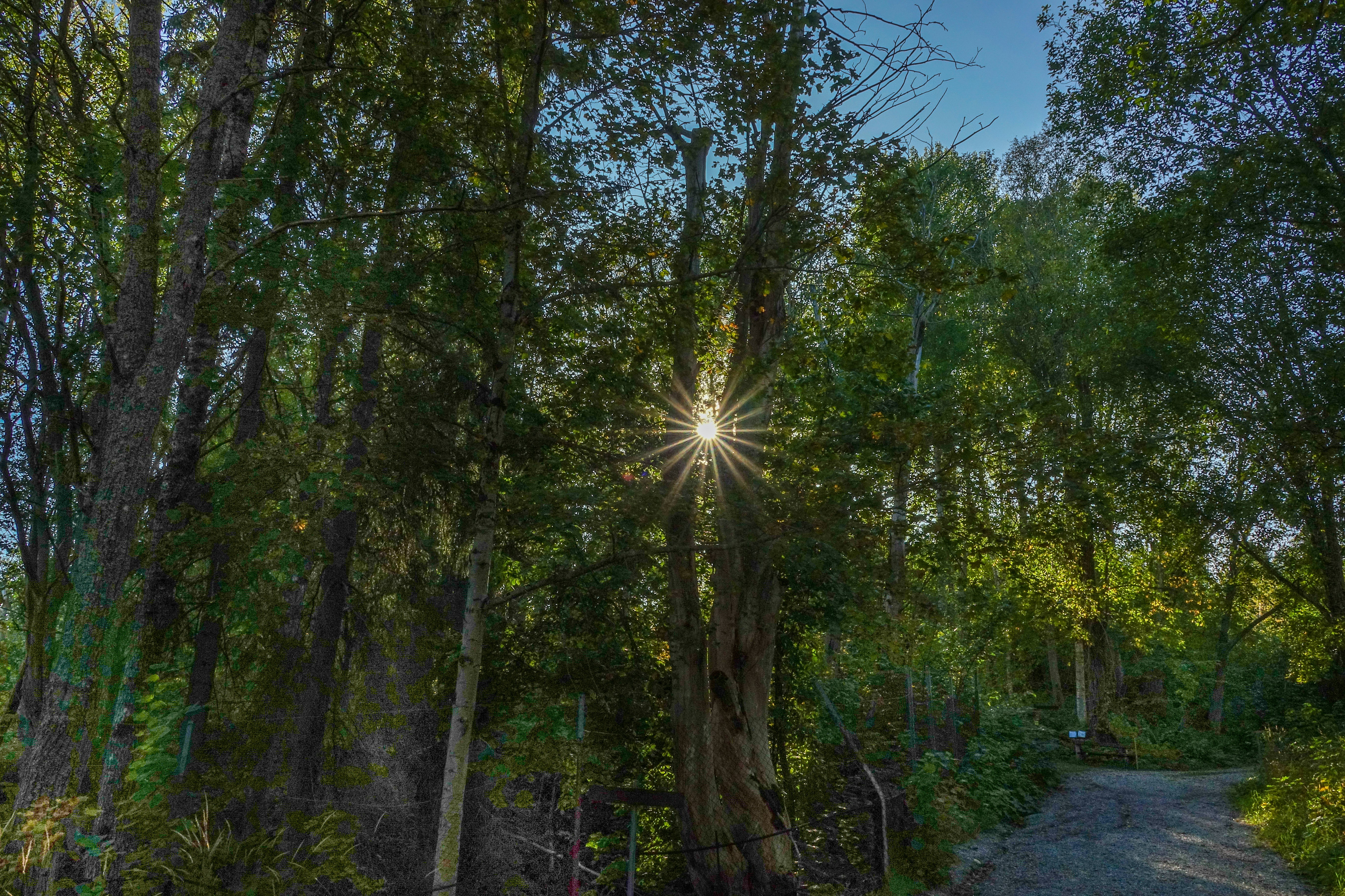 John Ellard (@jonfromoz) | Comunidad de fotos de Unsplash