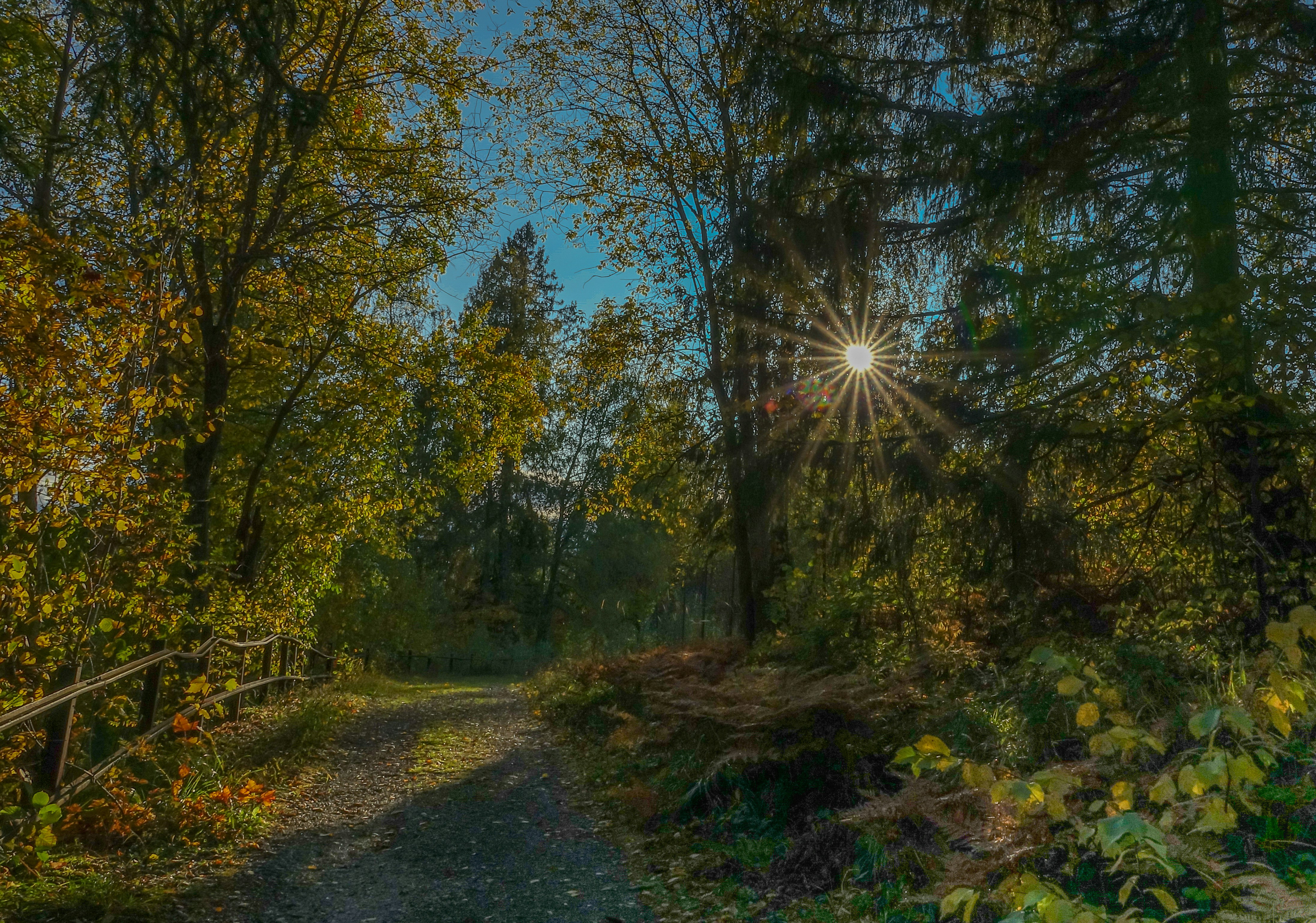 John Ellard (@jonfromoz) | Comunidad de fotos de Unsplash