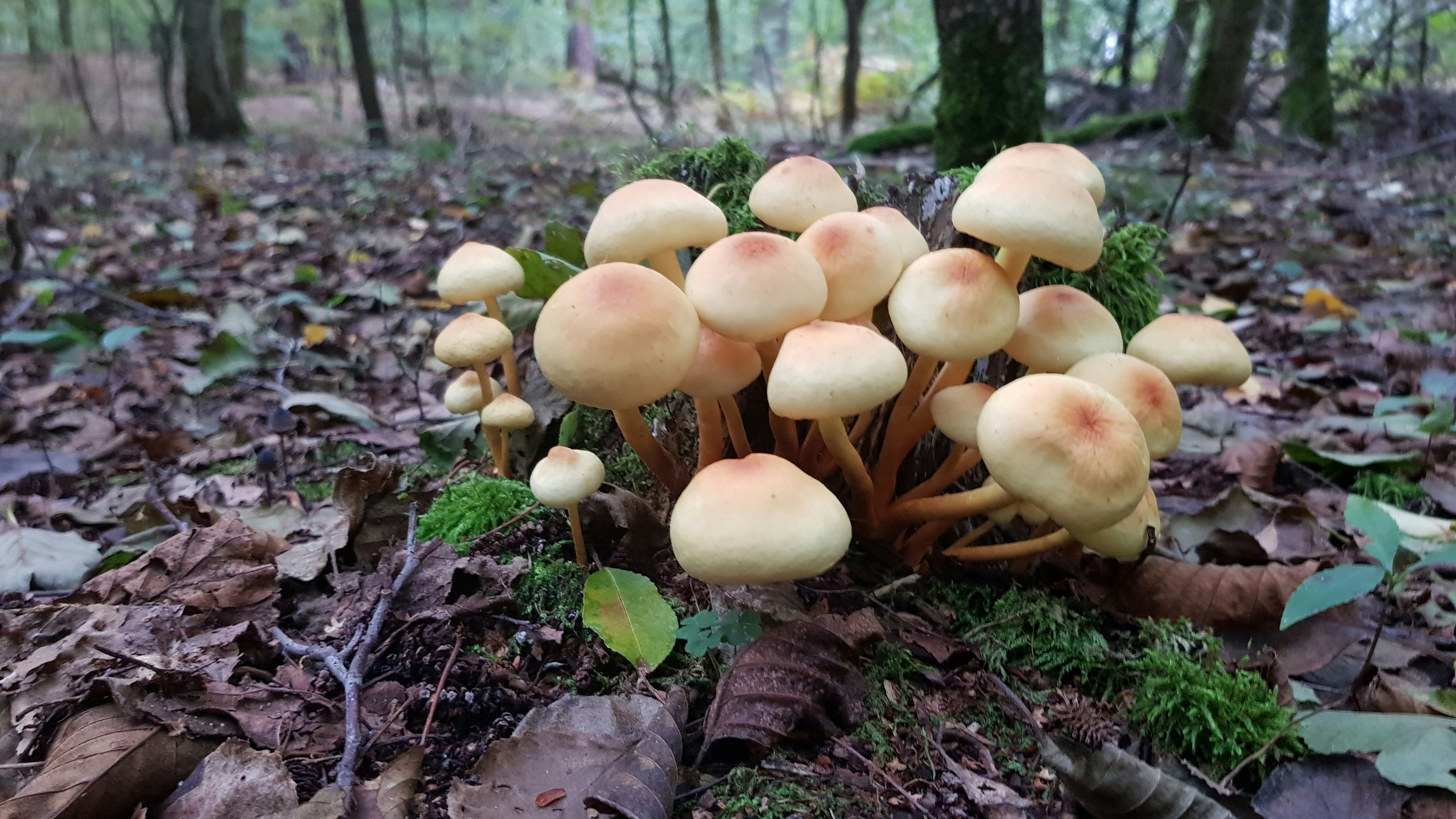 Christof Görs (@christof_goers) | Unsplash 사진 커뮤니티