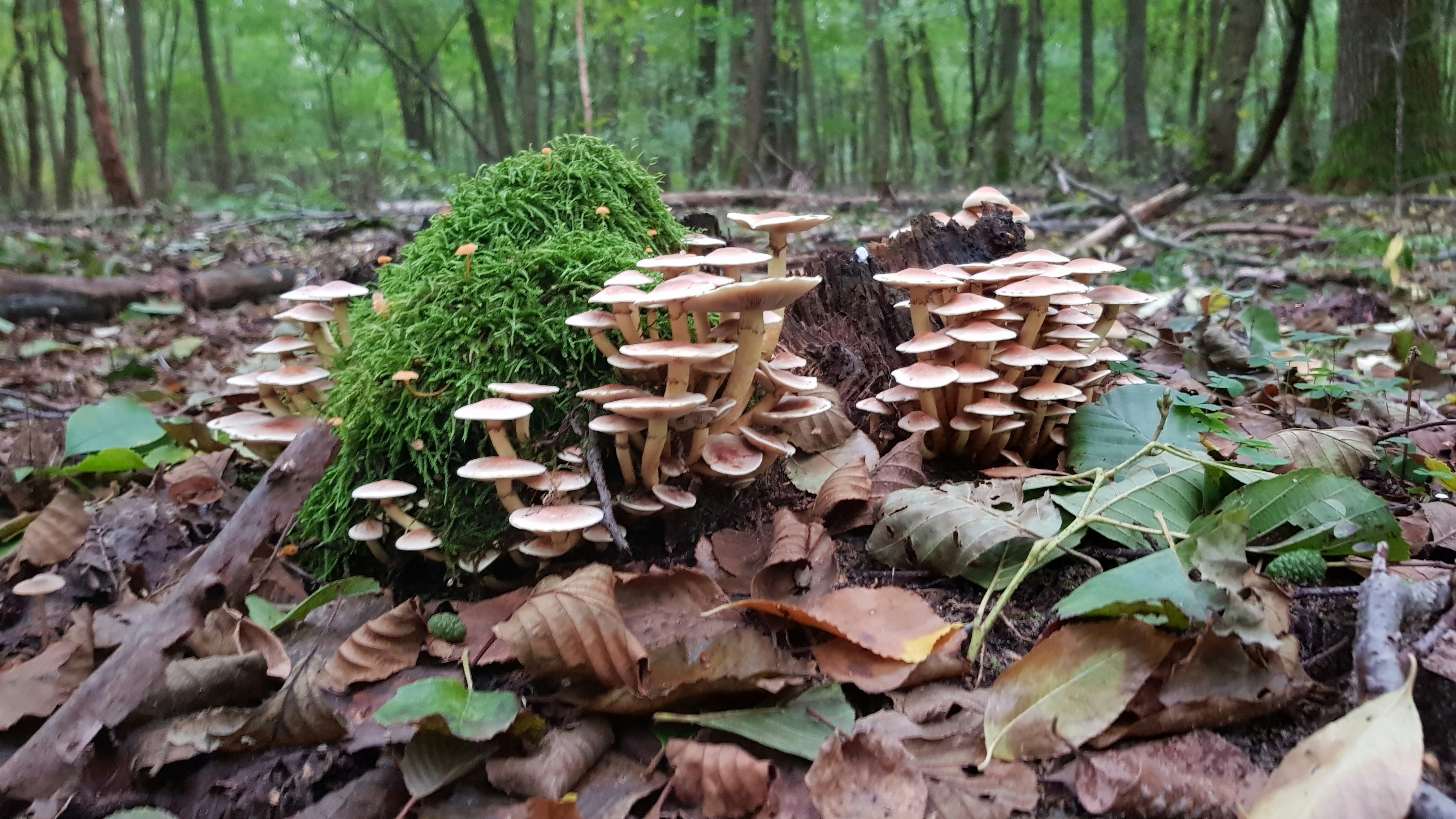 Christof Görs (@christof_goers) | Unsplash 사진 커뮤니티