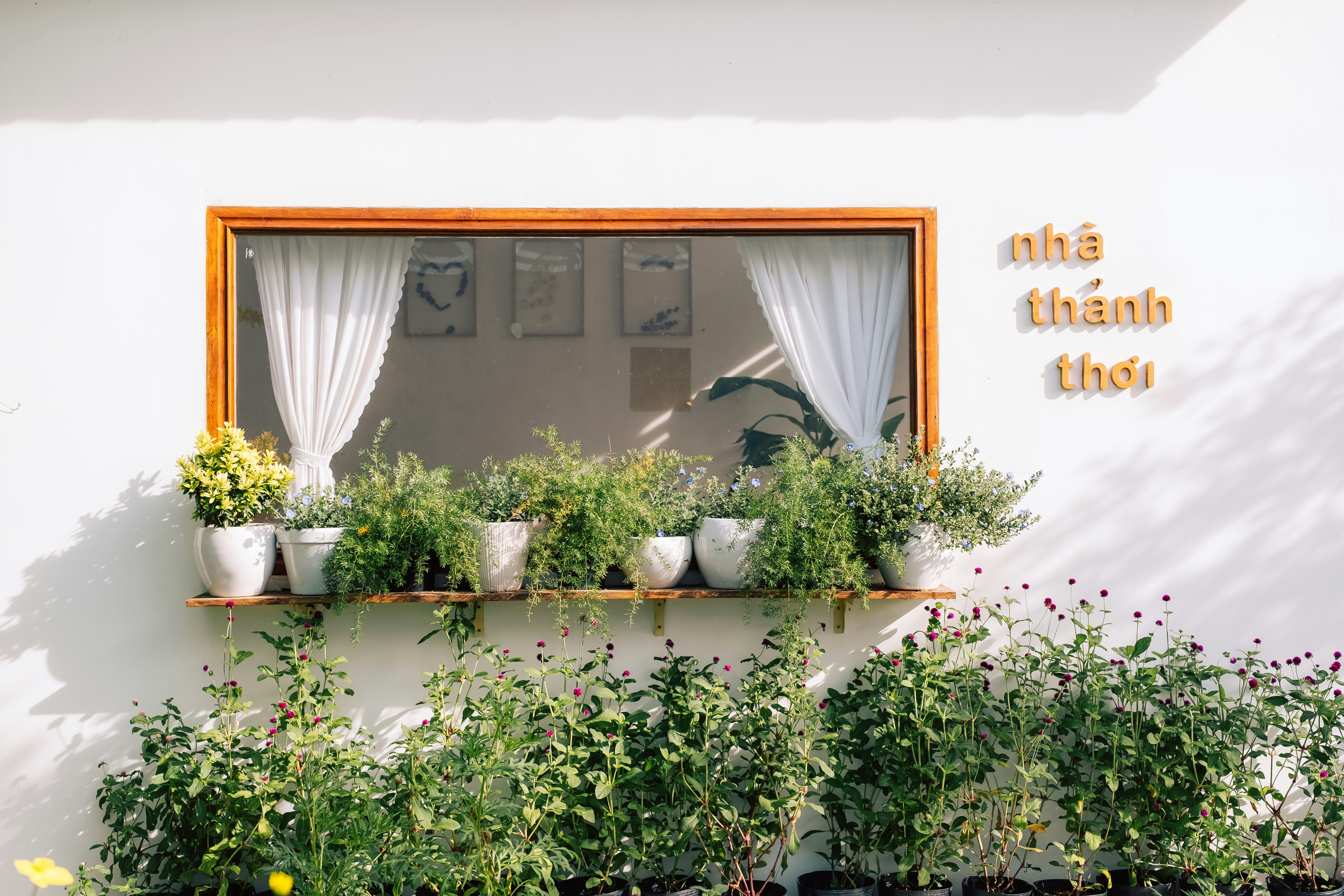Orange-Framed Window Garden: Sunlit White Wall with Potted Veranda Flora