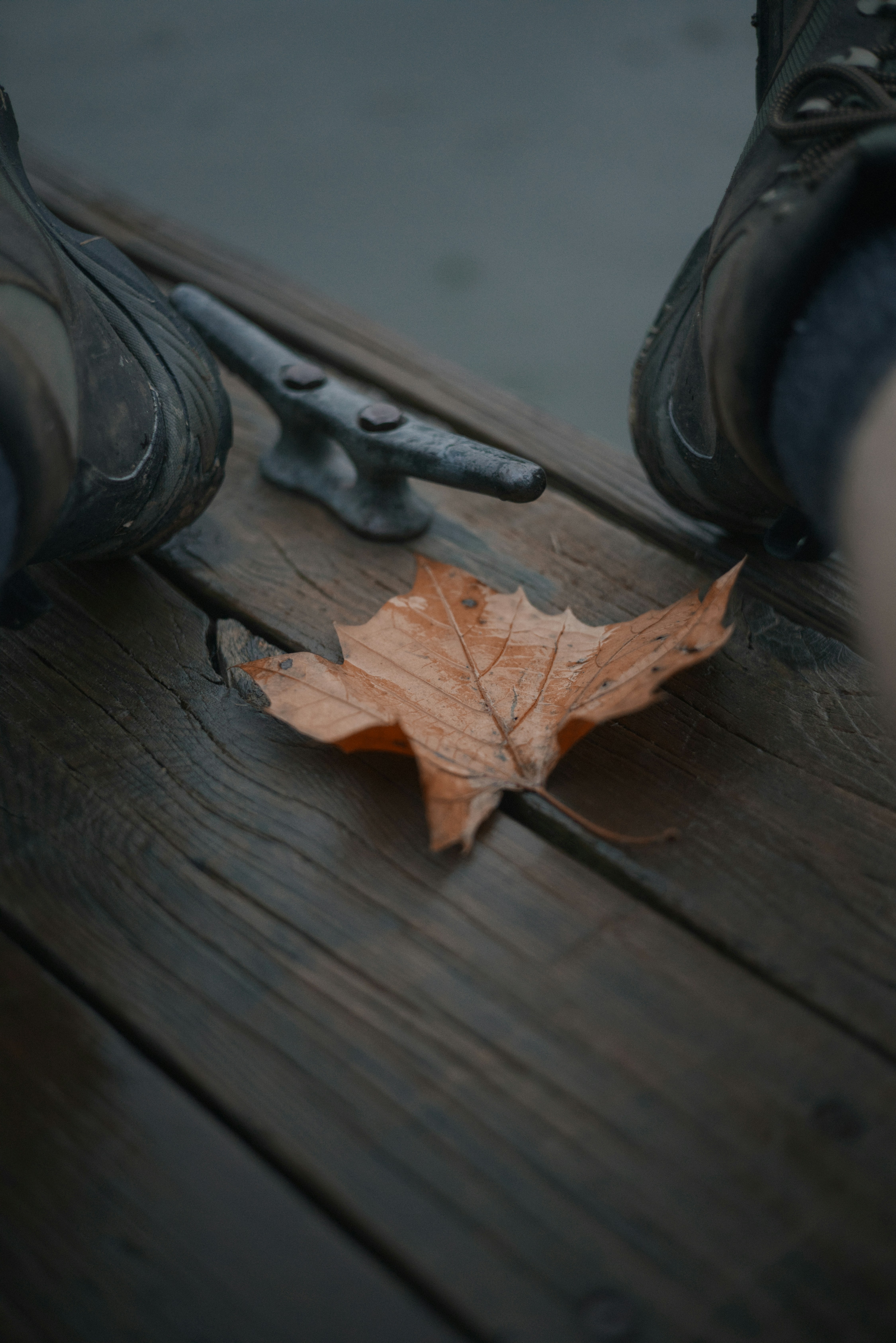Autumn Leaf Between Boots on Weathered Wood