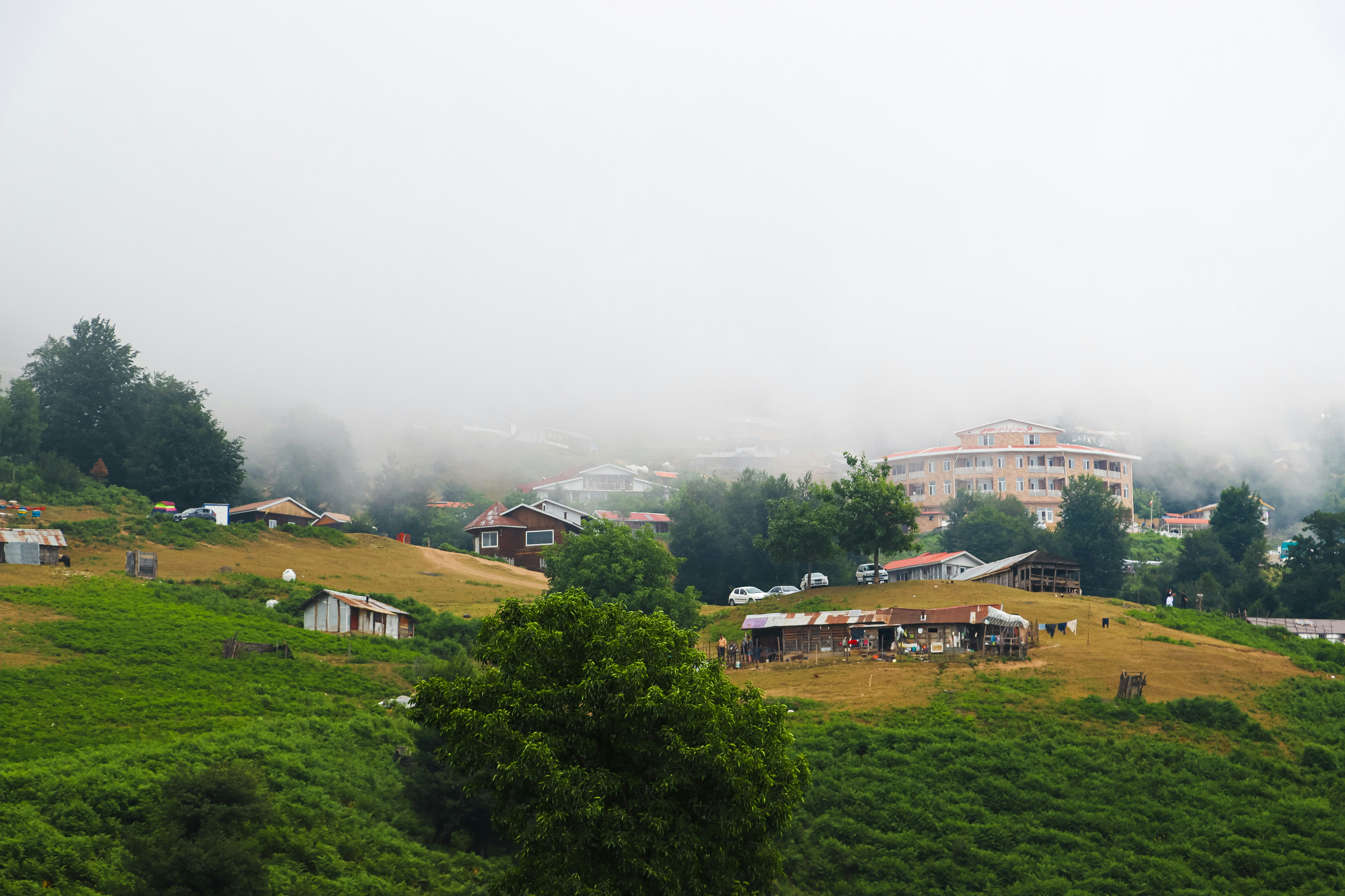 a foggy hillside with houses and trees in the foreground