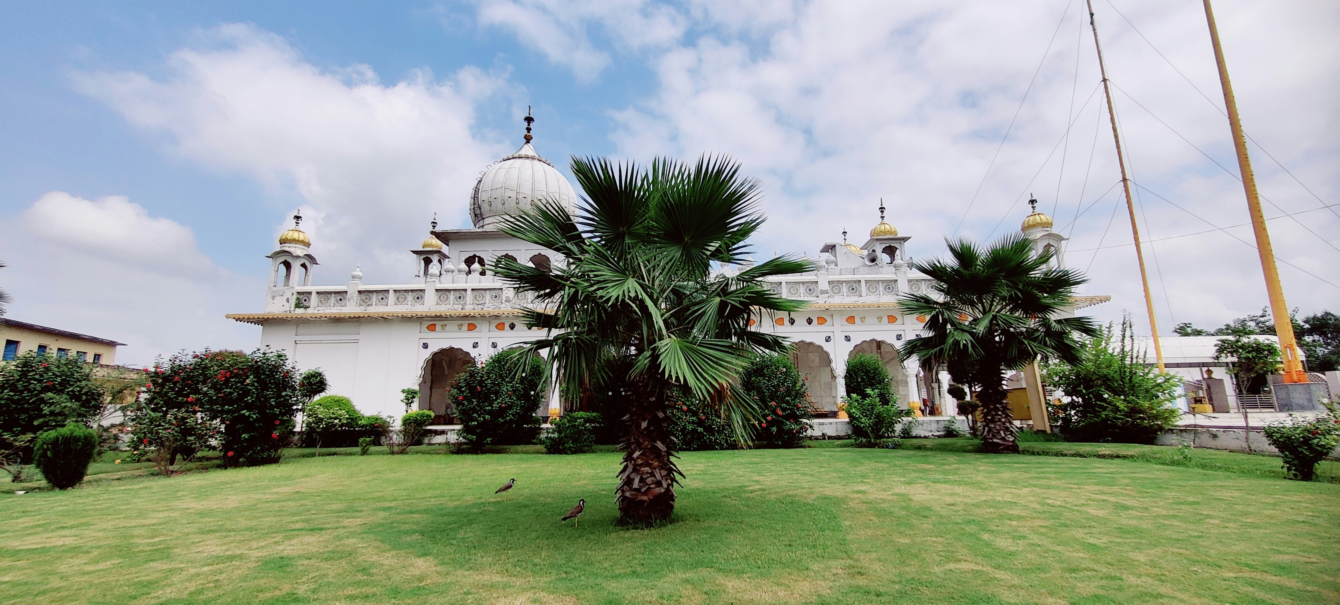 A large white building with a palm tree in front of it photo – Free ...