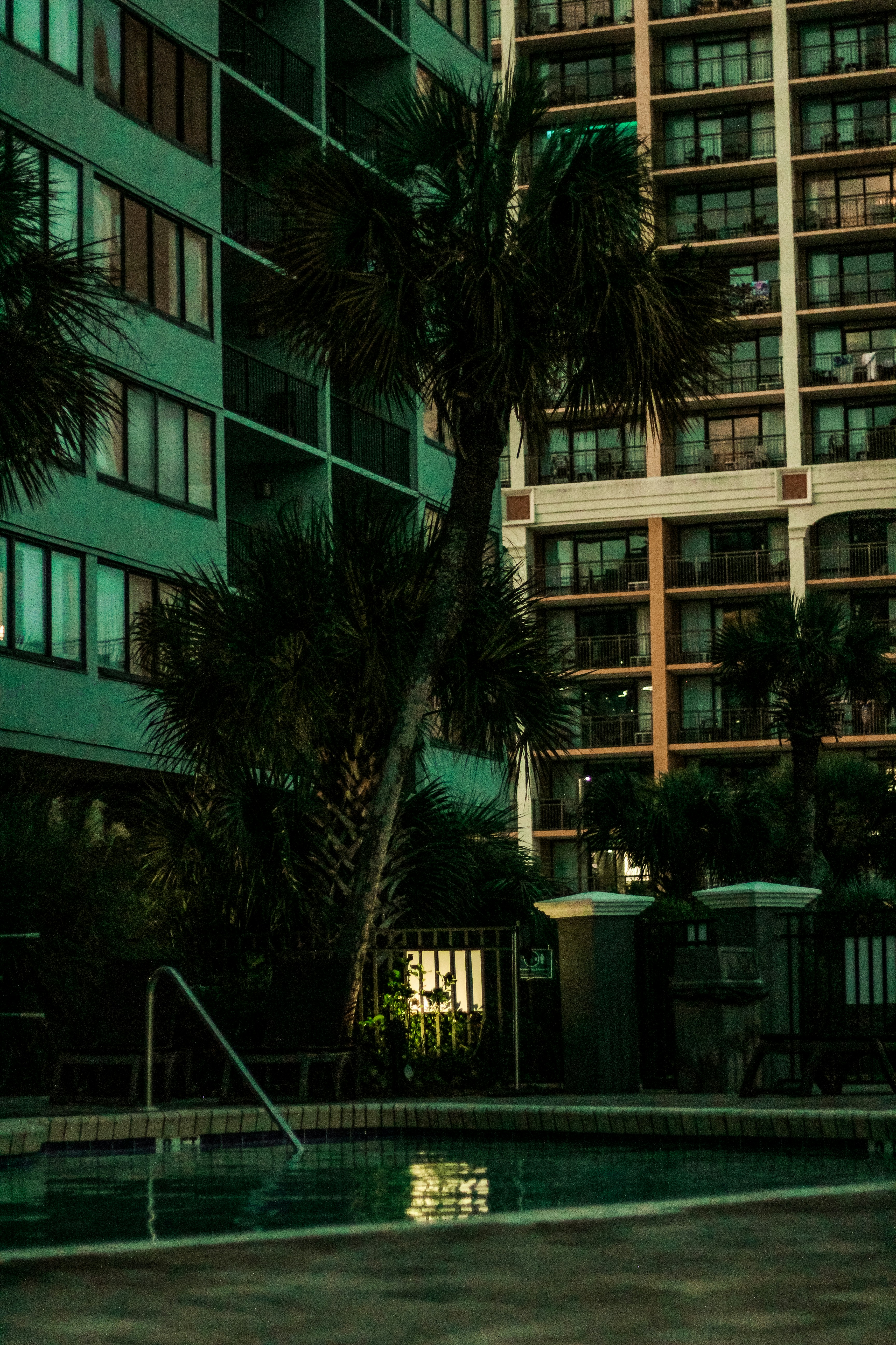Silhouetted palm trees surround a tranquil pool, reflecting the soft glow of nearby buildings as twilight descends.