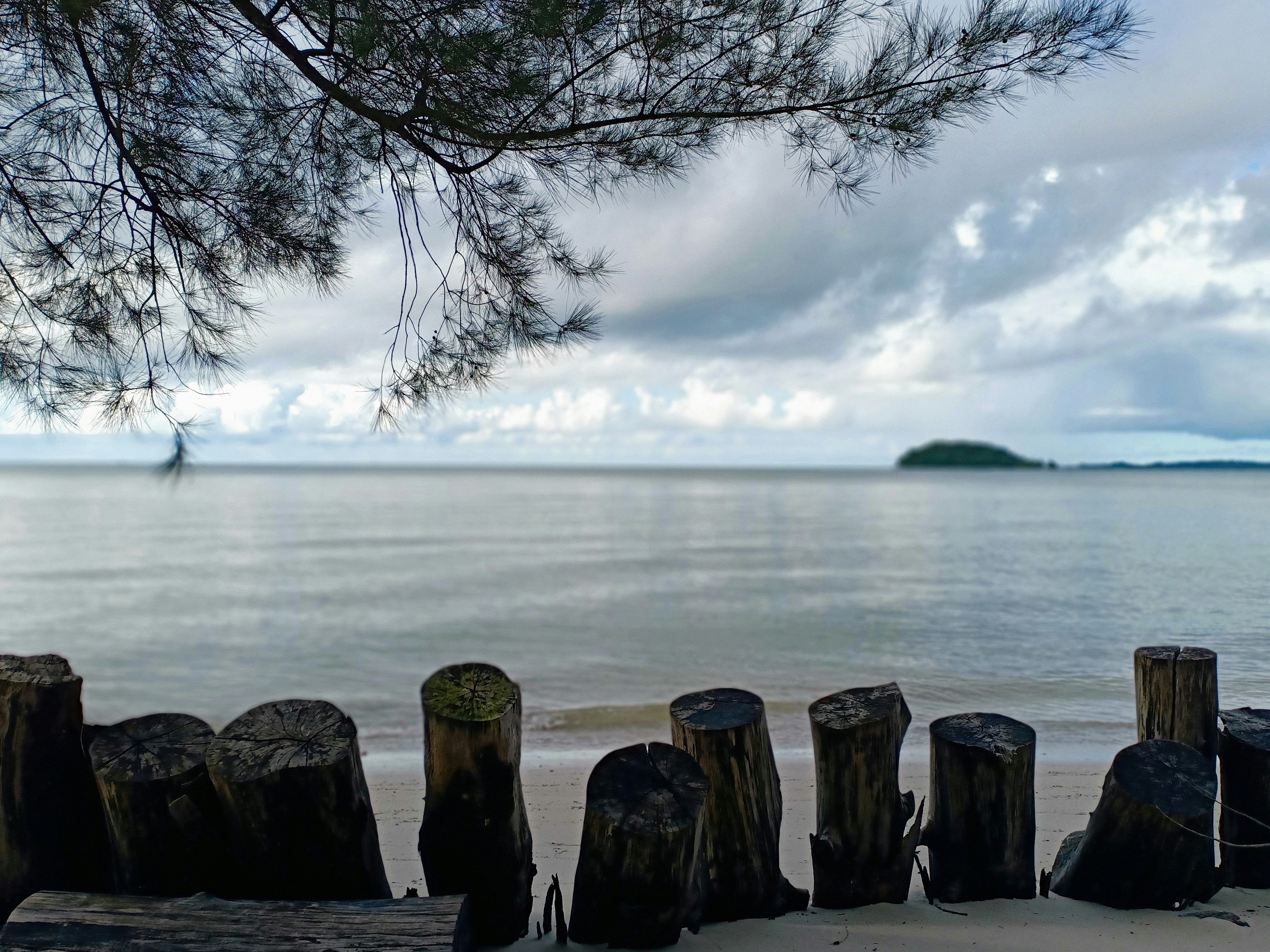 Weathered timber sentinels guard the quiet shoreline