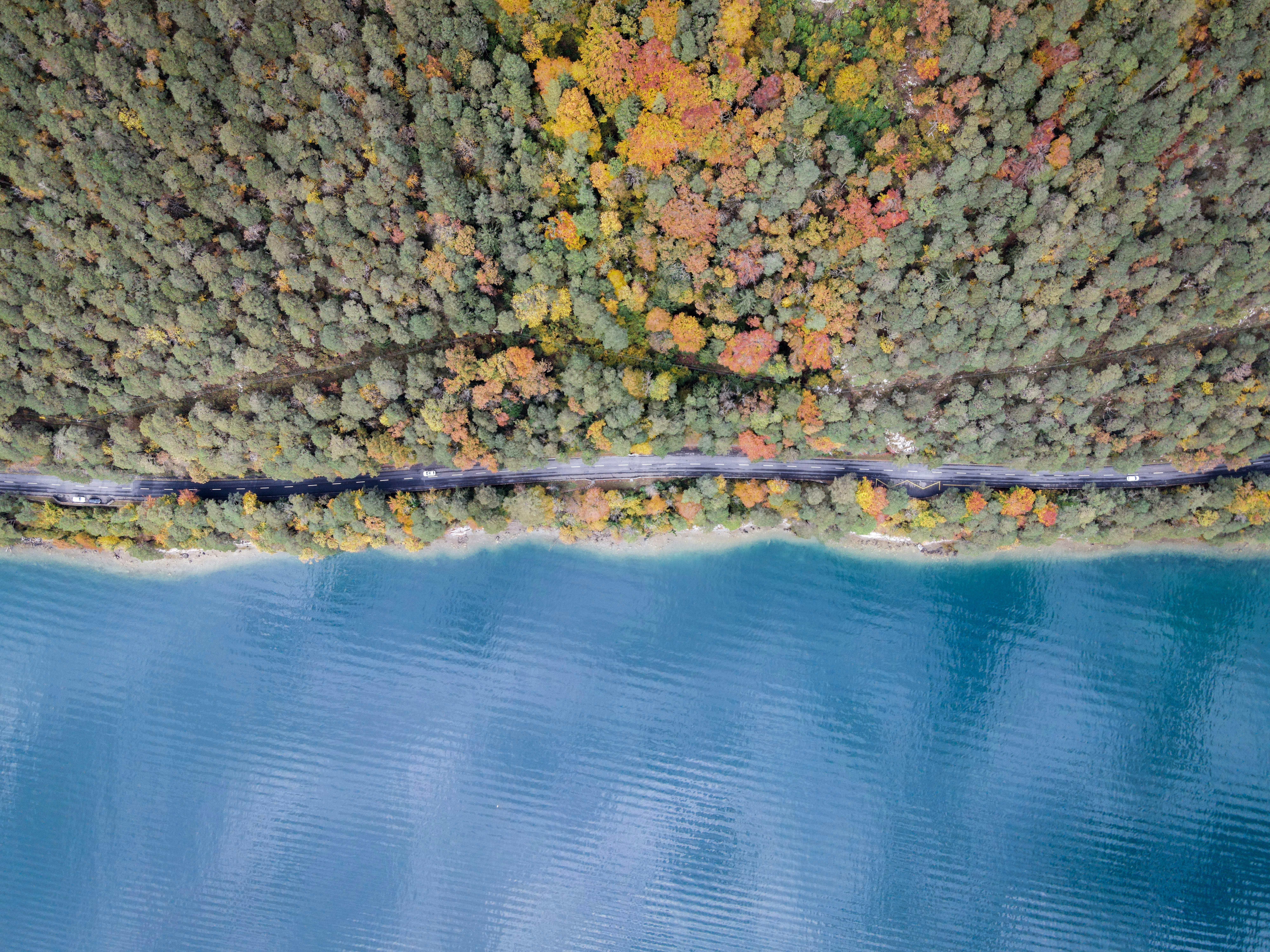 an aerial view of a body of water surrounded by trees