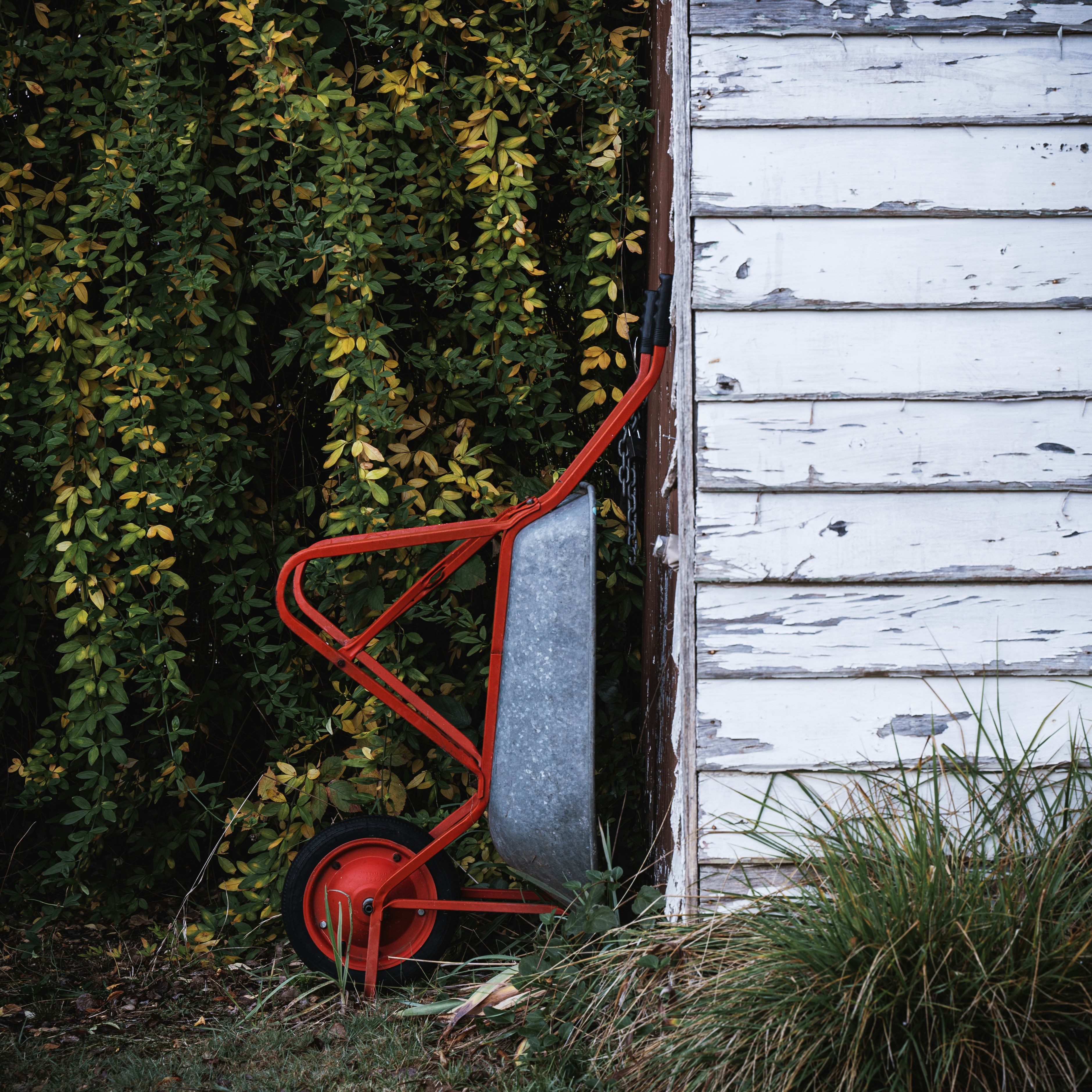 Red Wheelbarrow Rest Against a Weathered House