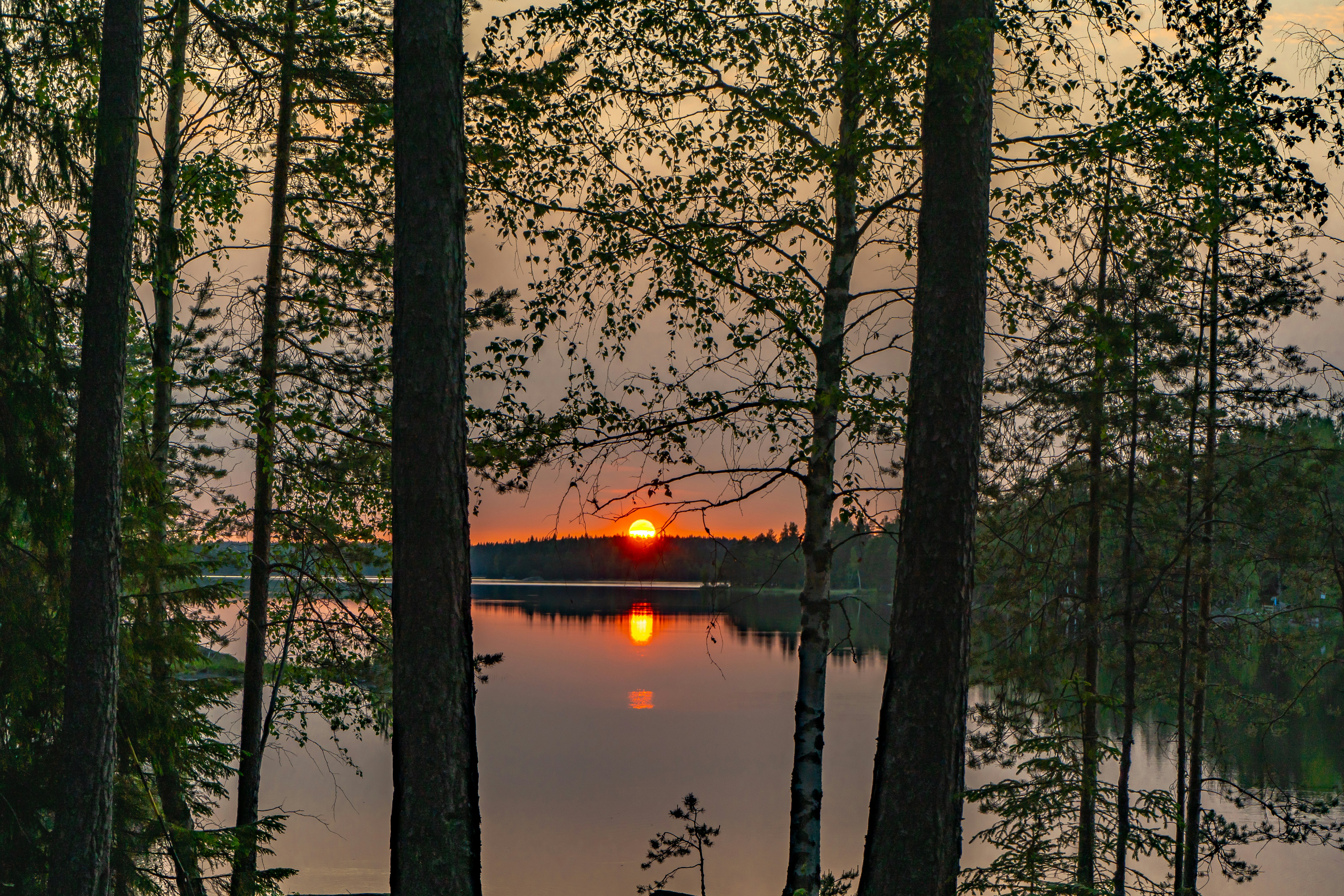 John Ellard (@jonfromoz) | Comunidad de fotos de Unsplash