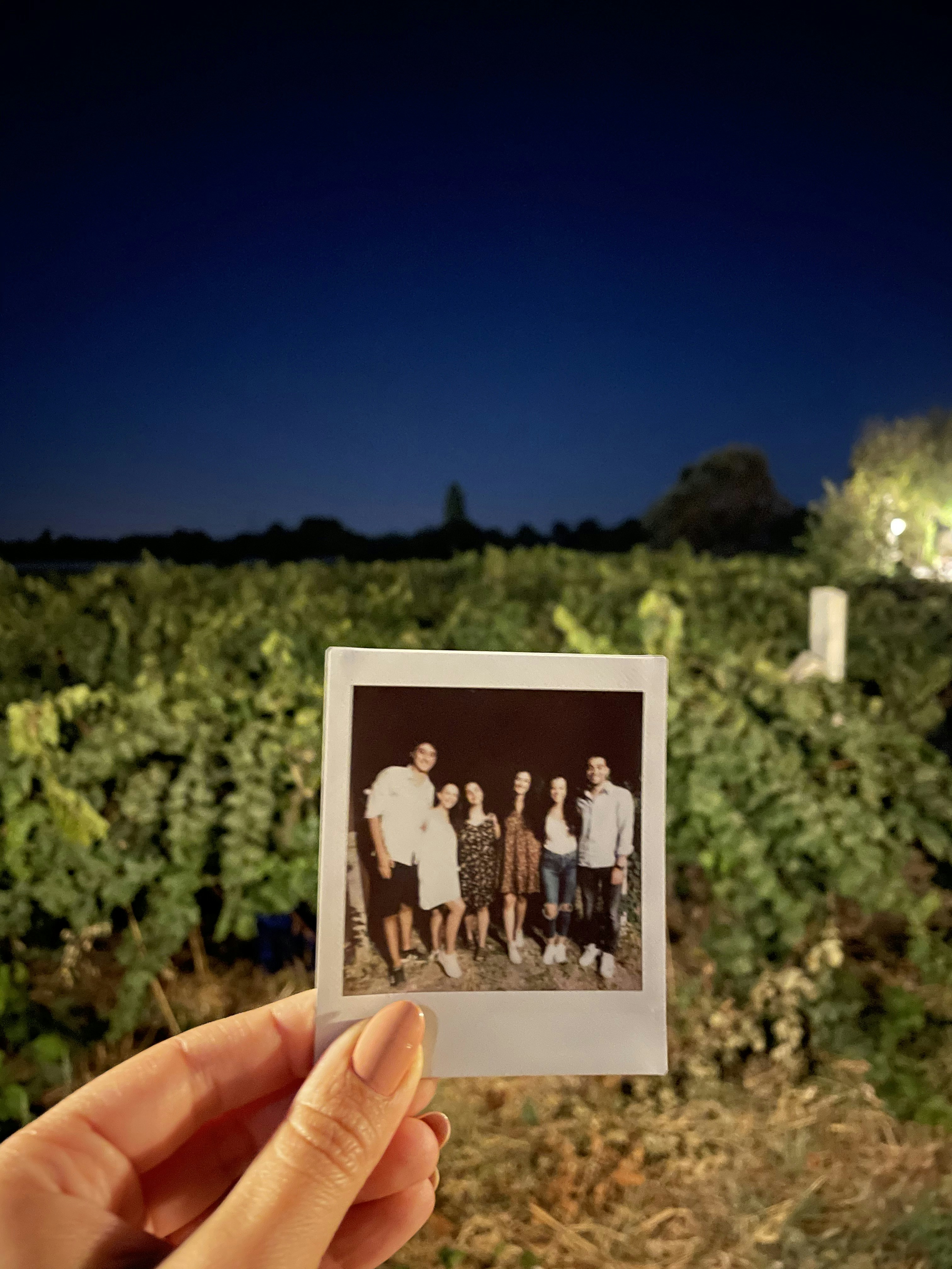 A person holding up a polaroid picture of a family photo – Free Nature ...