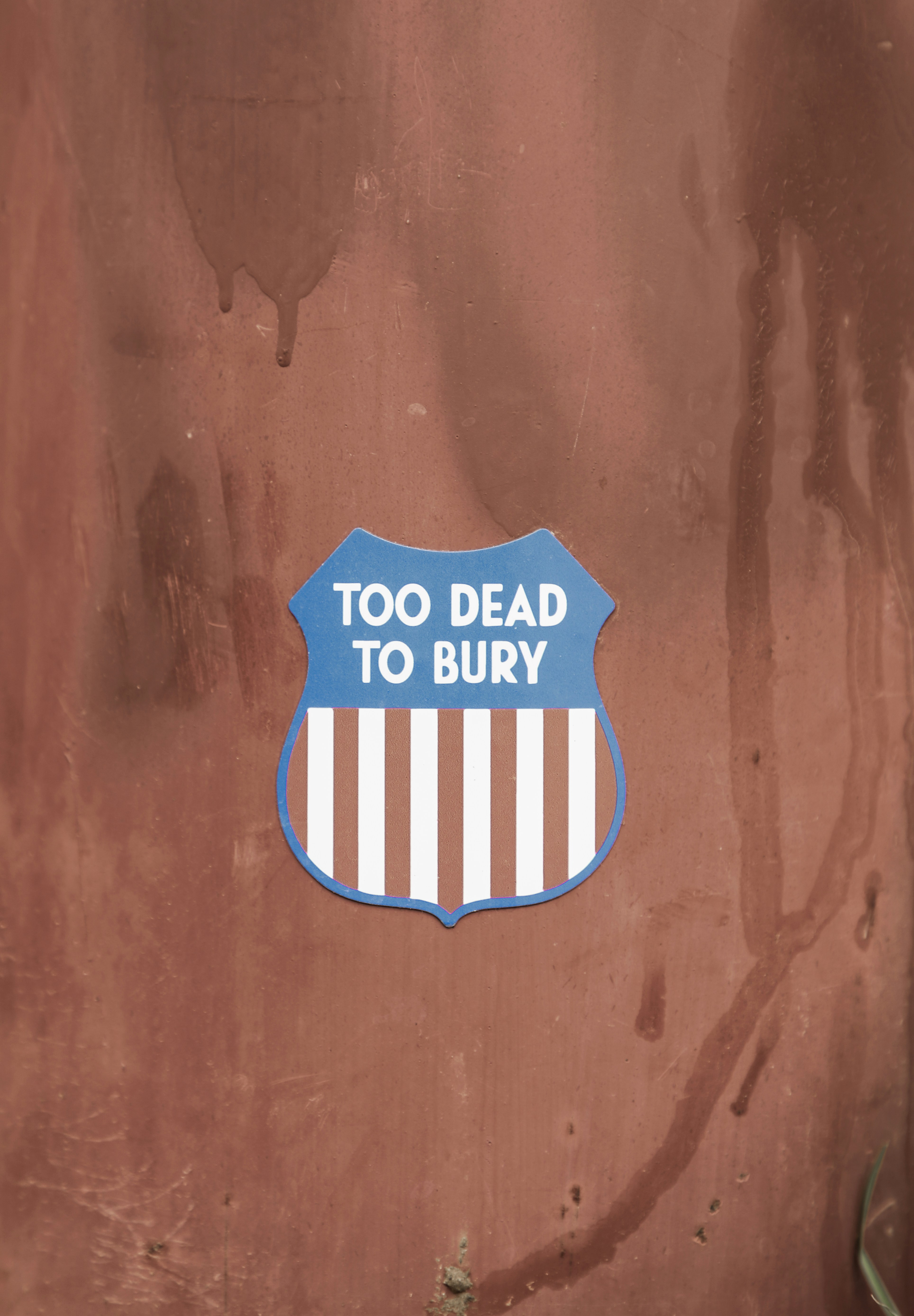 A sticker on the side of a truck that says too dead to bury photo ...