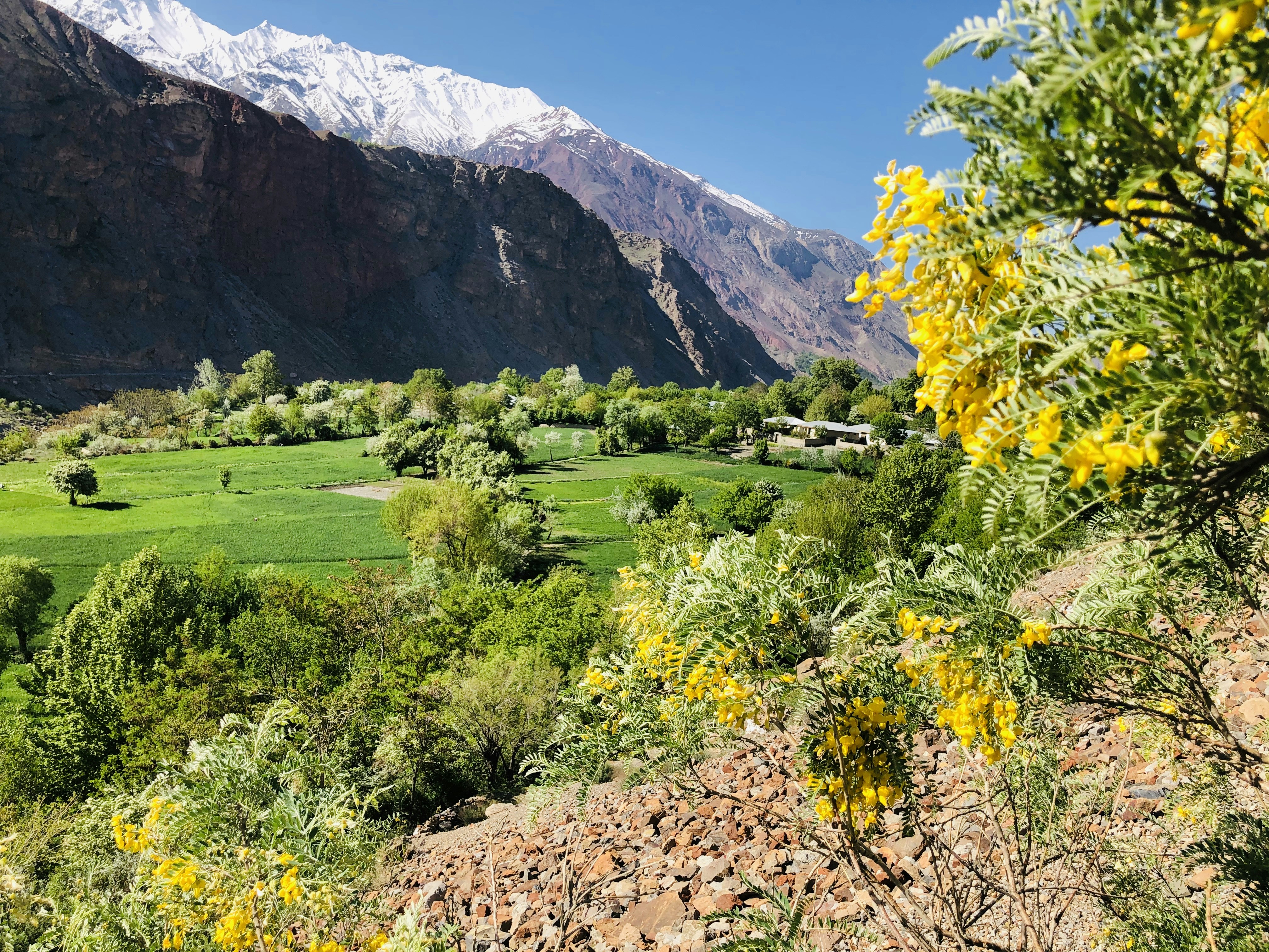 Nature | 3 best free nature, wilderness, slope and scenery photos on ...