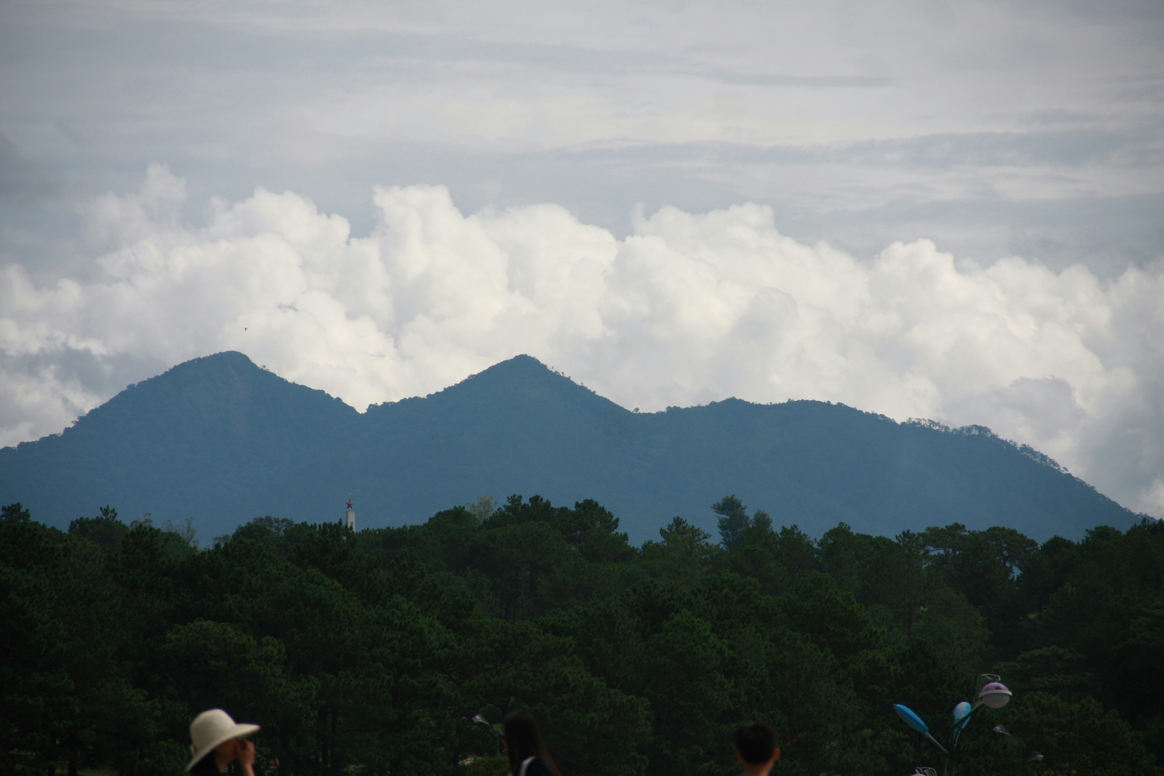 a group of people standing on top of a lush green field