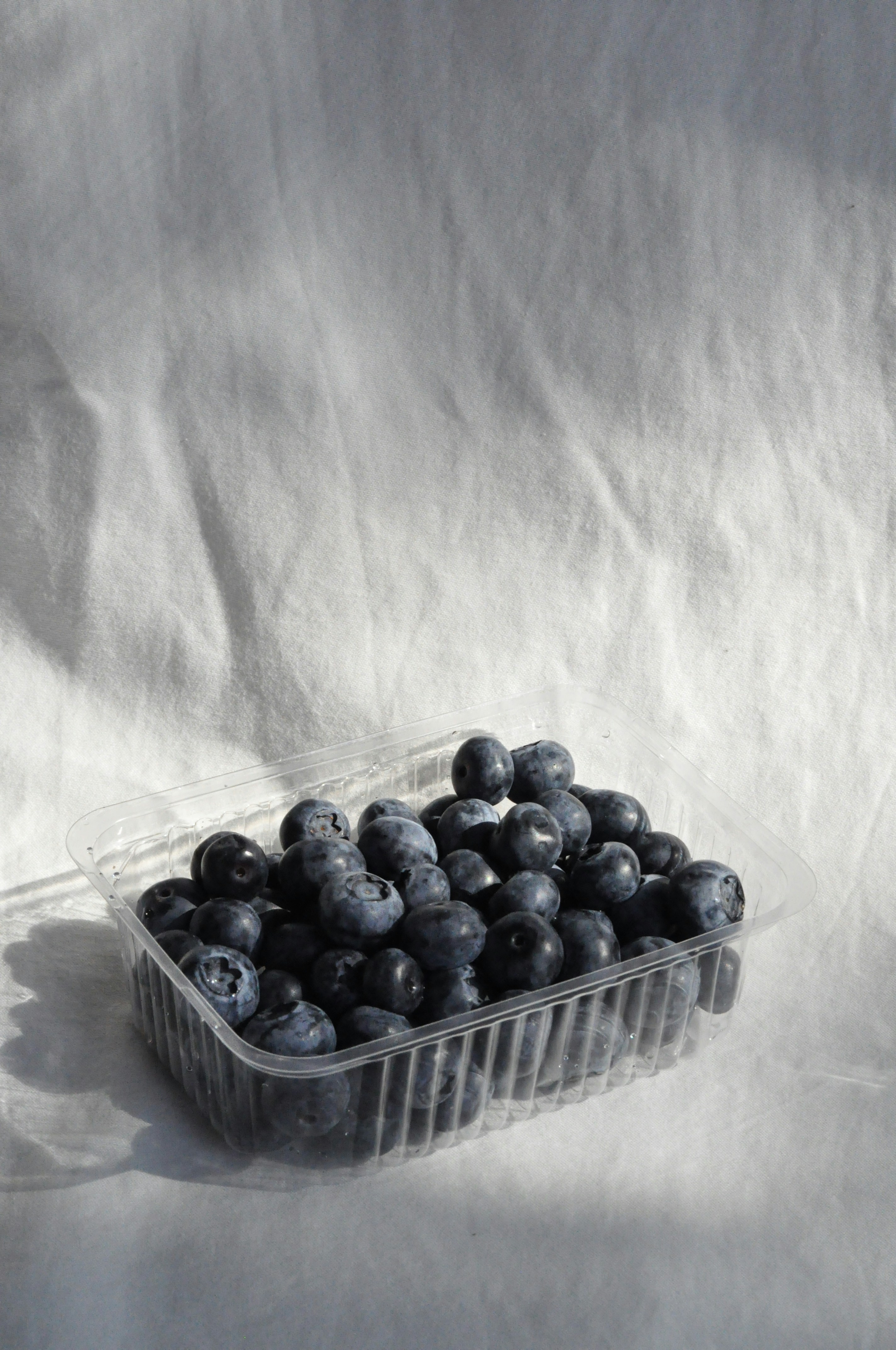 Container filled with fresh blueberries resting on a soft, textured surface, illuminated by gentle light.