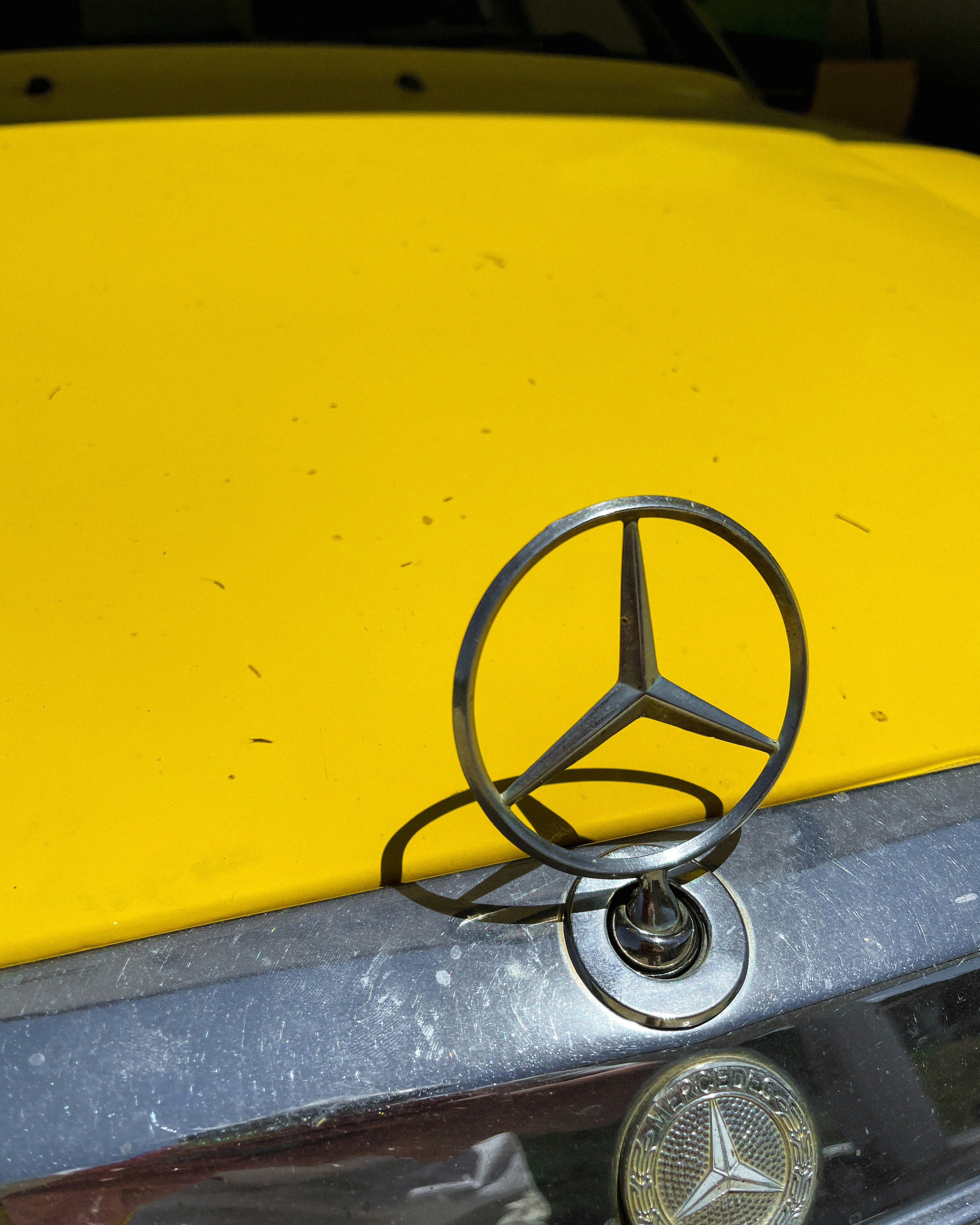 Sample photo from Apple iPhone 12 Pro Max