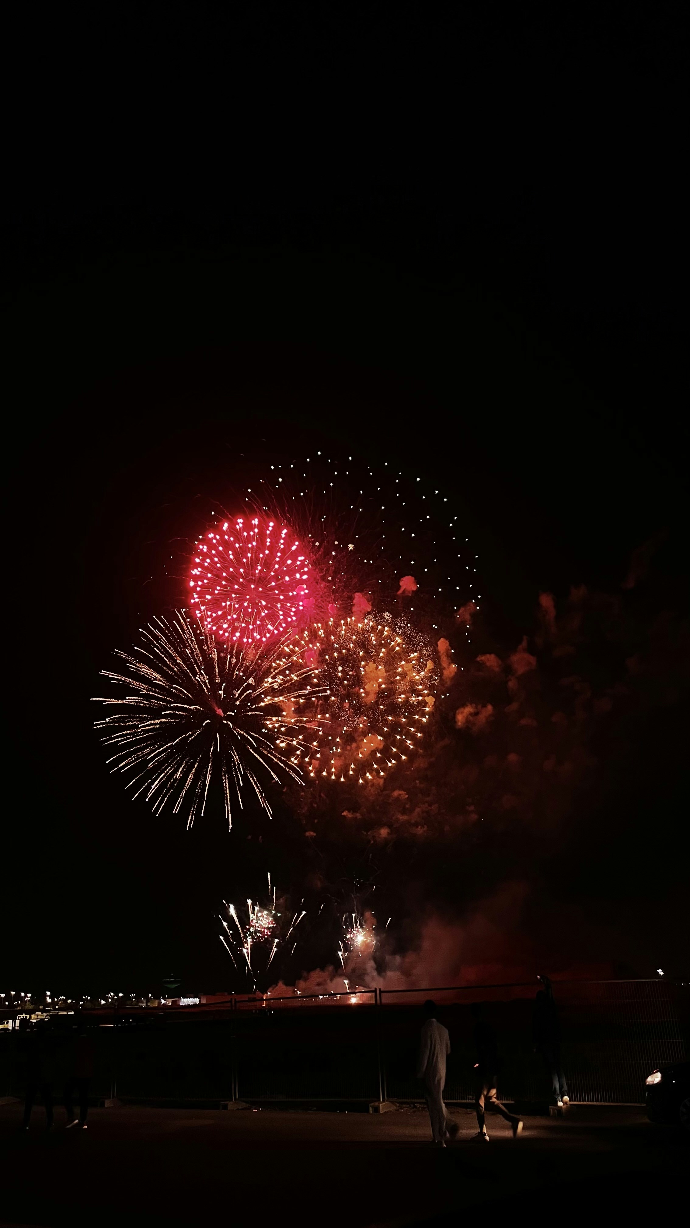 A group of people watching fireworks in the night sky photo – Free ...