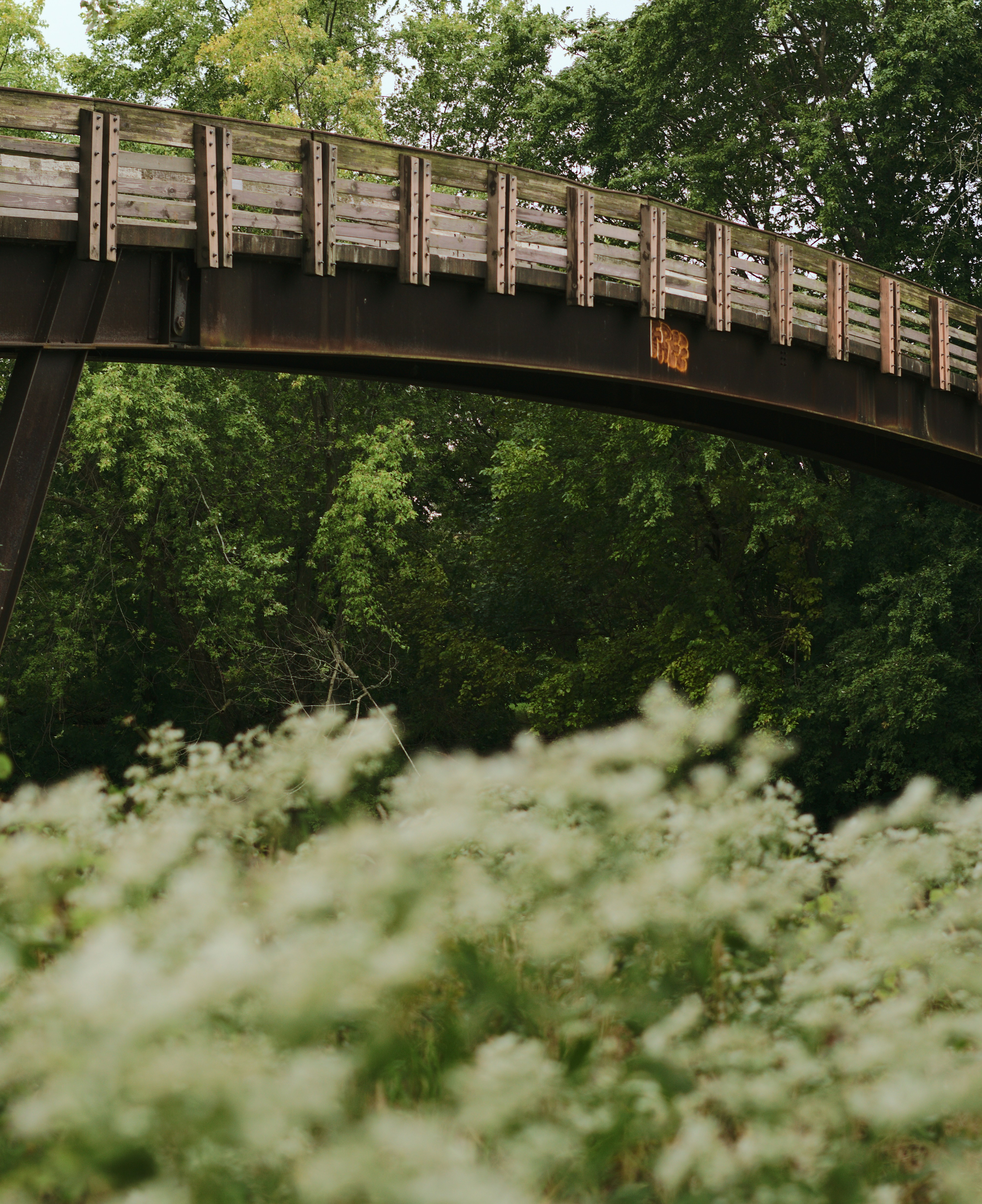 Wooden bridge arching over a lush green landscape, framed by wildflowers in the foreground. The scene evokes a sense of tranquility and connection with nature.