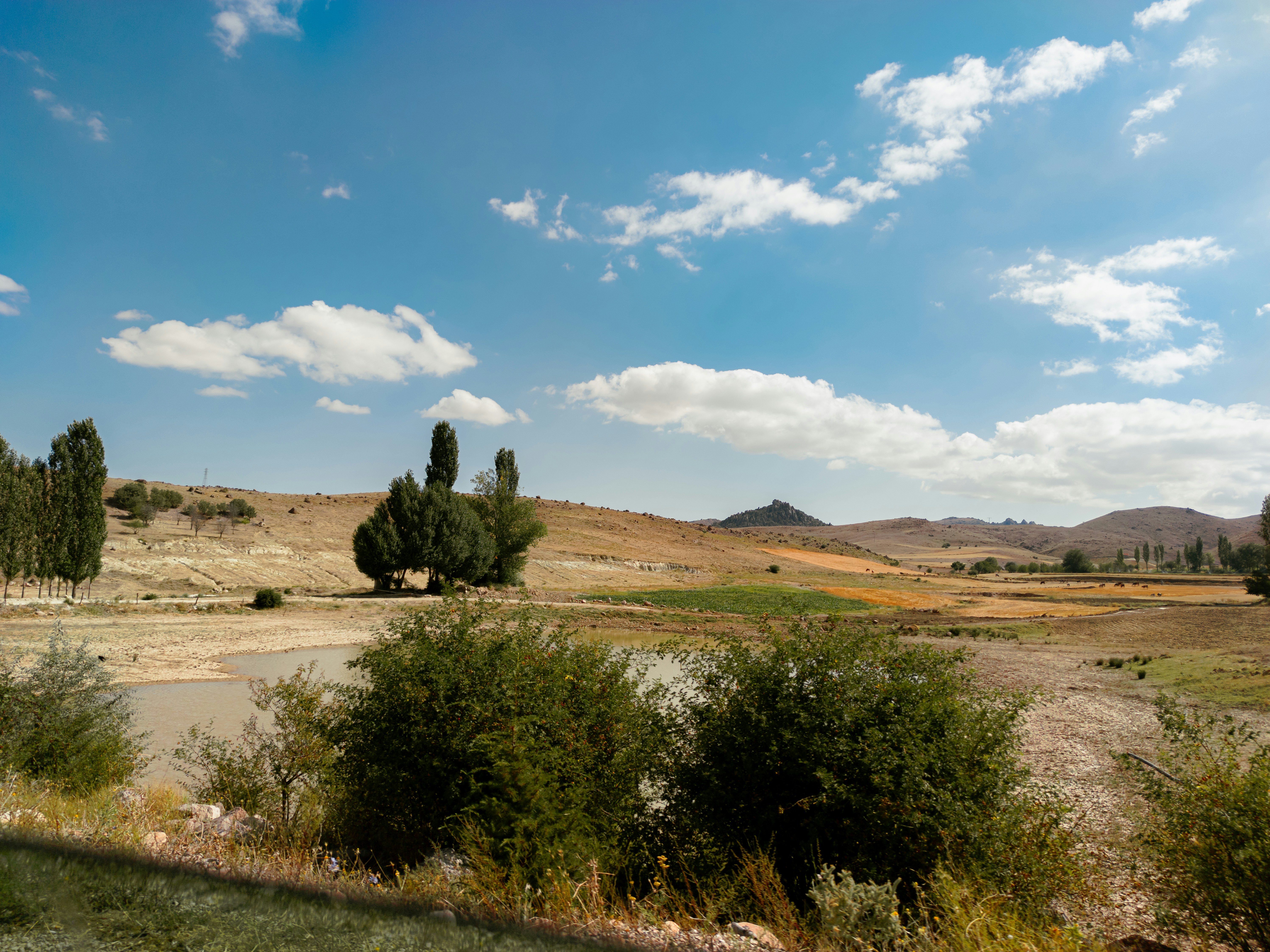 Rolling hills and scattered trees under a bright blue sky with fluffy clouds.