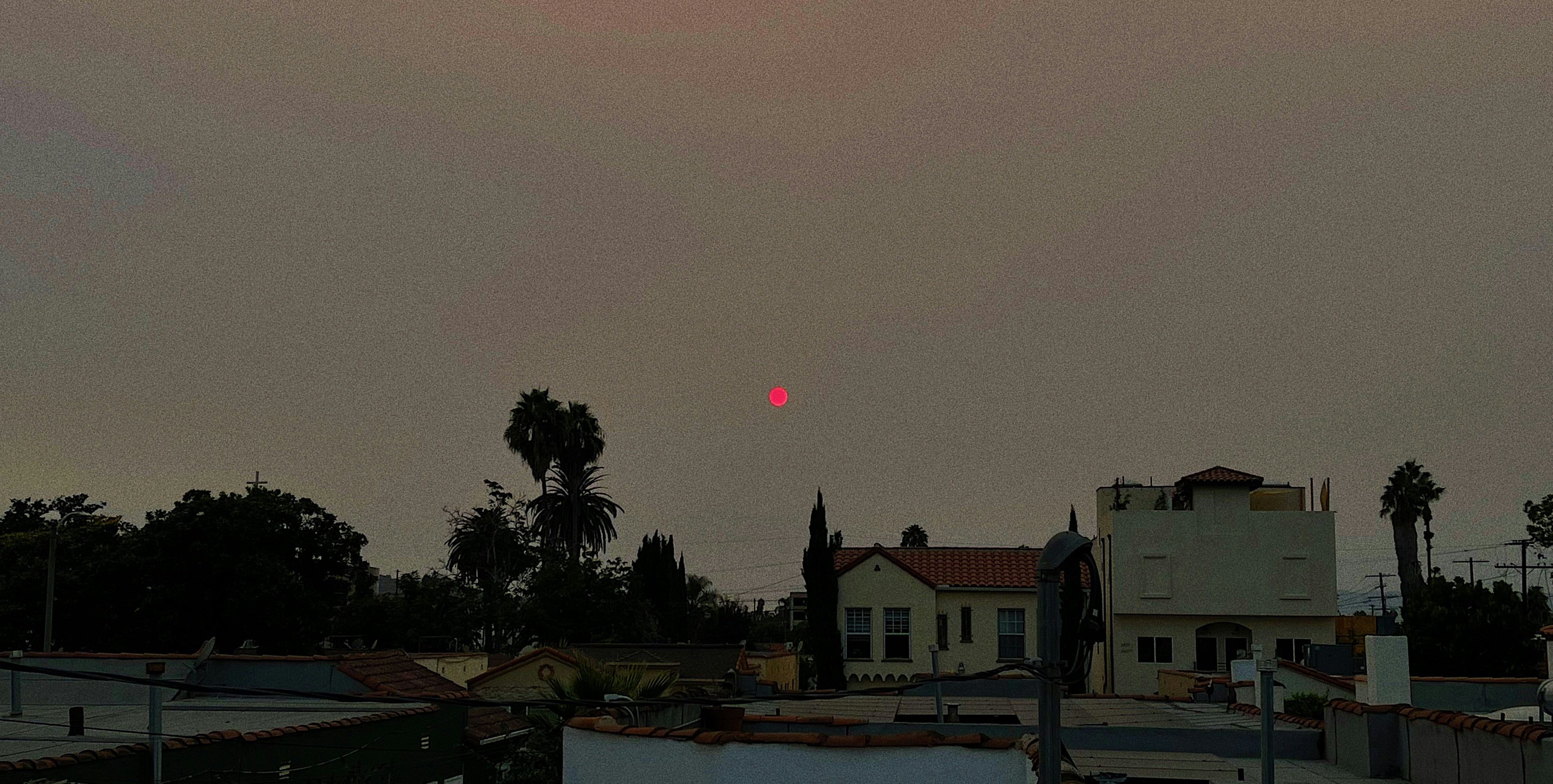 Scarlet Dusk Orb Over a Palm-Lined Waterfront Town