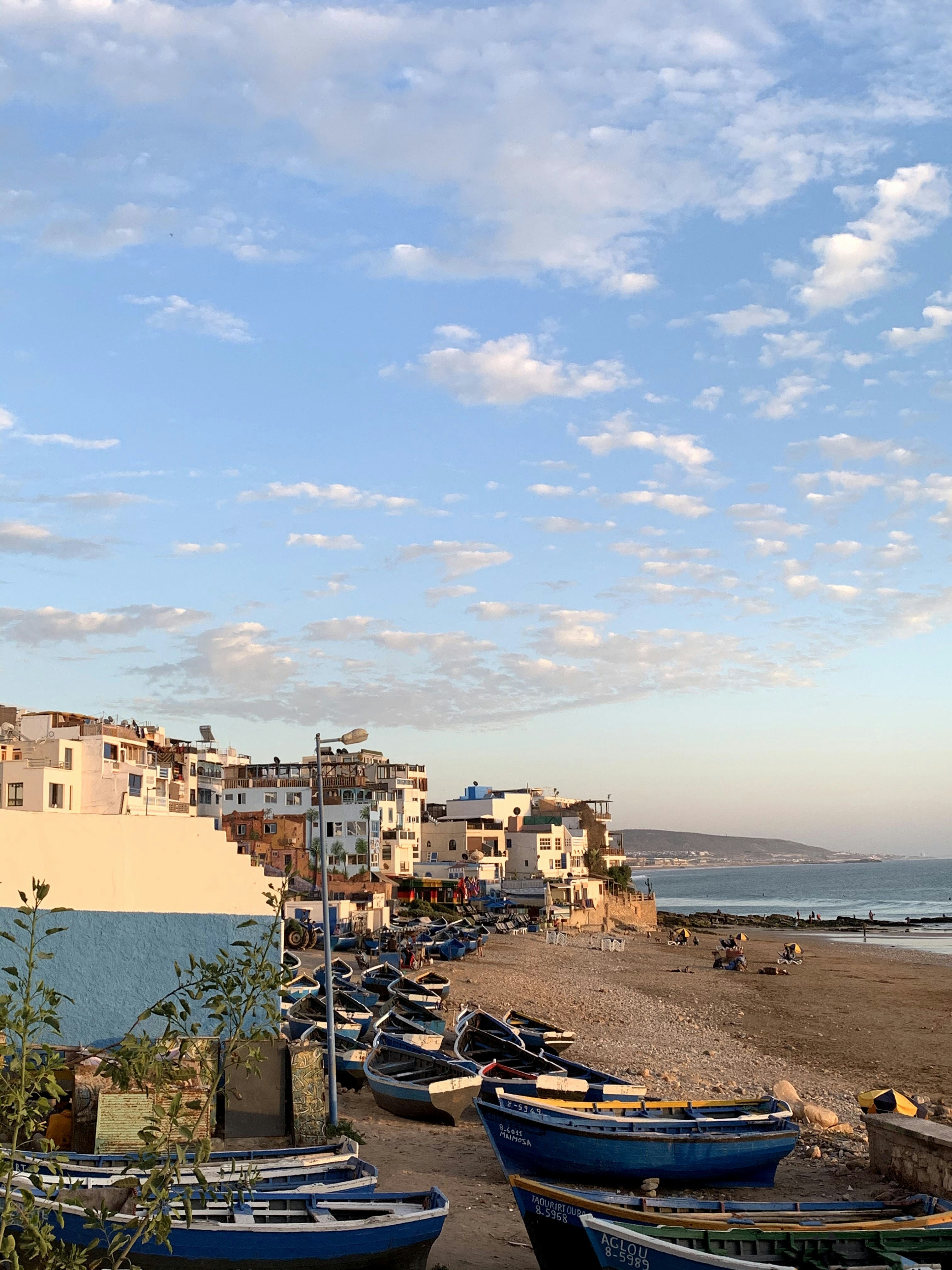 Oceon Pictures | Download Free Images on Unsplash