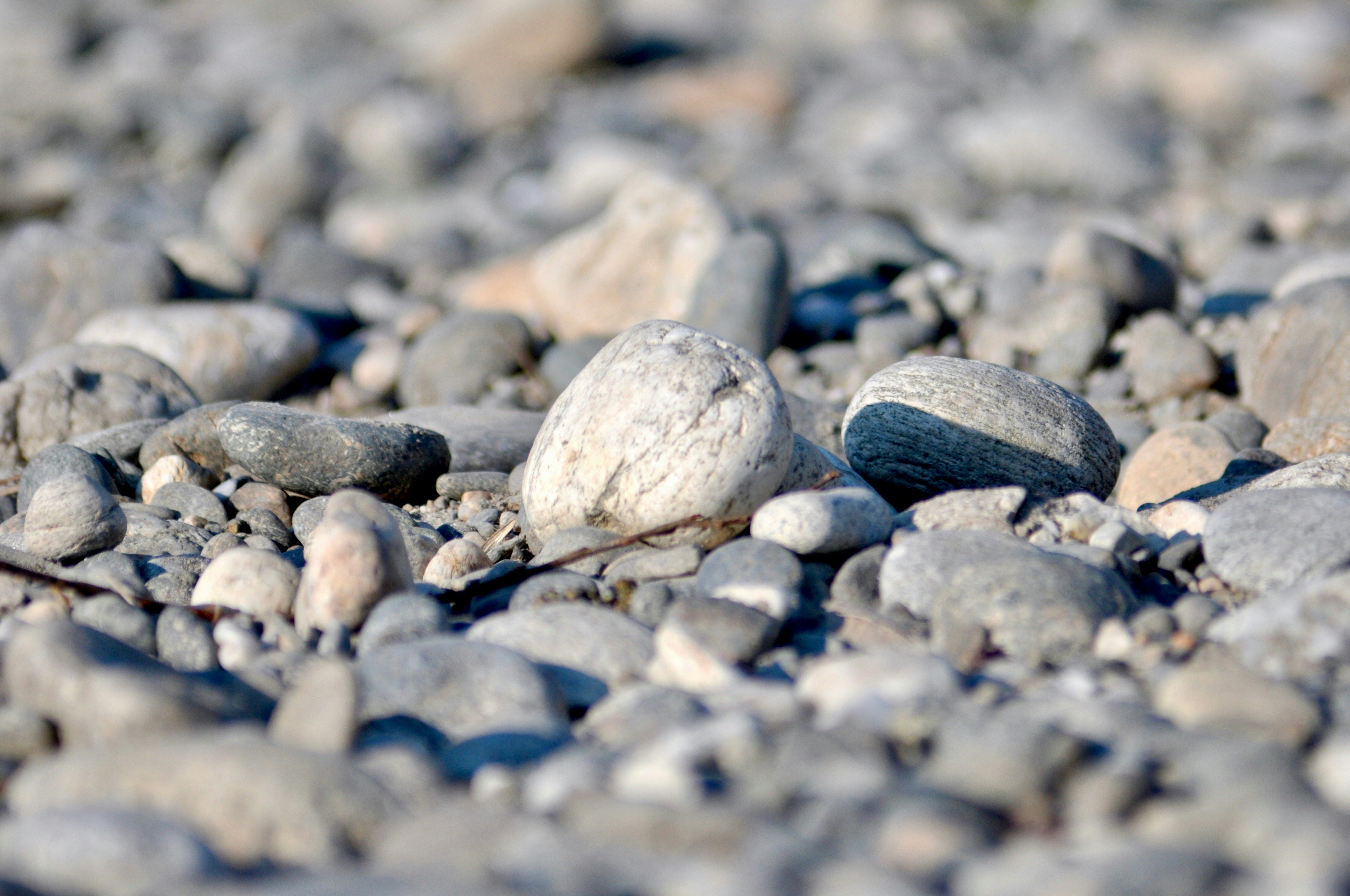 A close-up view of various pebbles and stones scattered along a riverbed, showcasing their textures and colors. The focus highlights the unique characteristics of each stone.