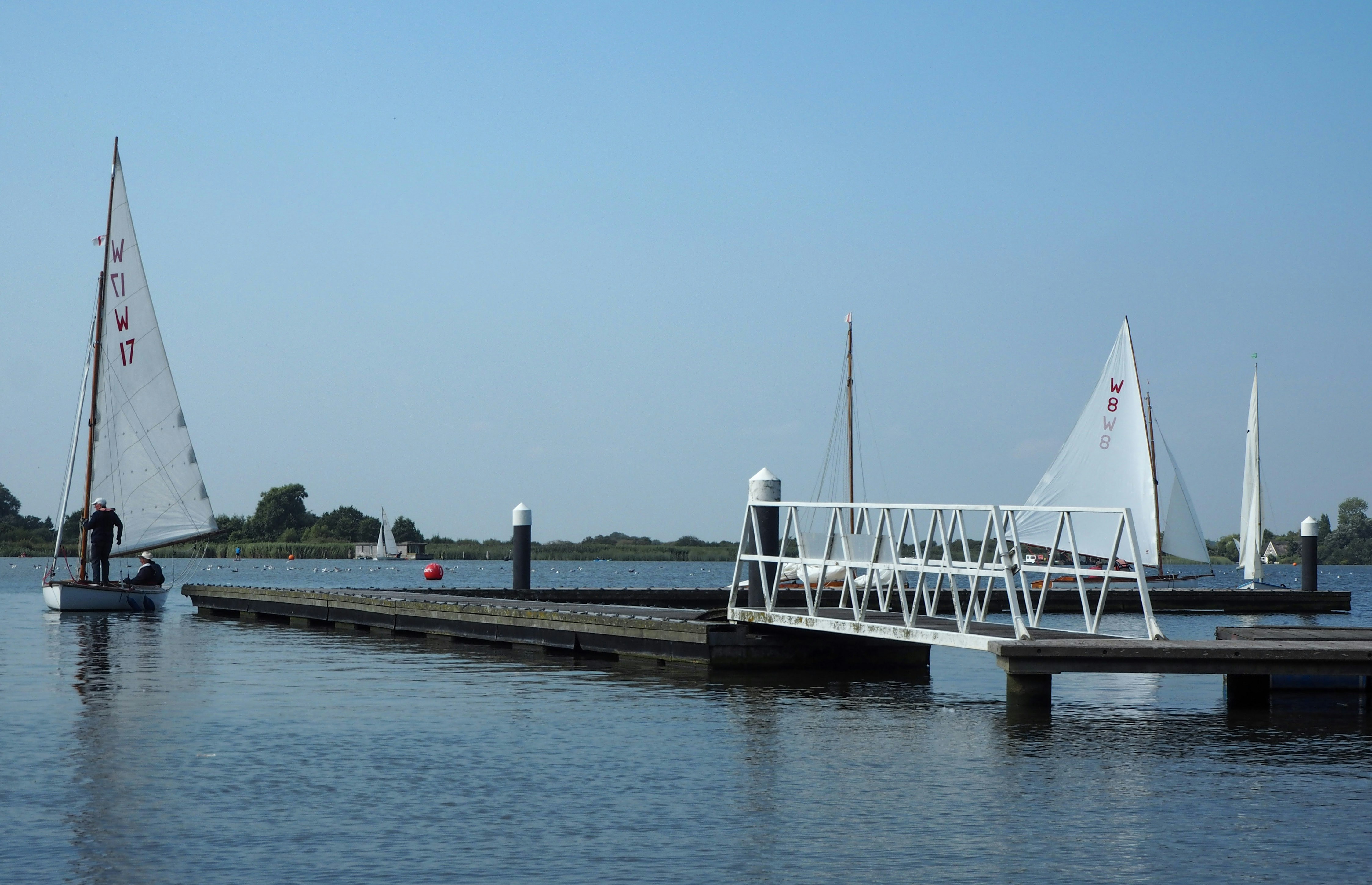 Sailboats glide peacefully near a wooden dock on a calm lake, framed by a clear blue sky. The scene captures the essence of leisure and tranquility.