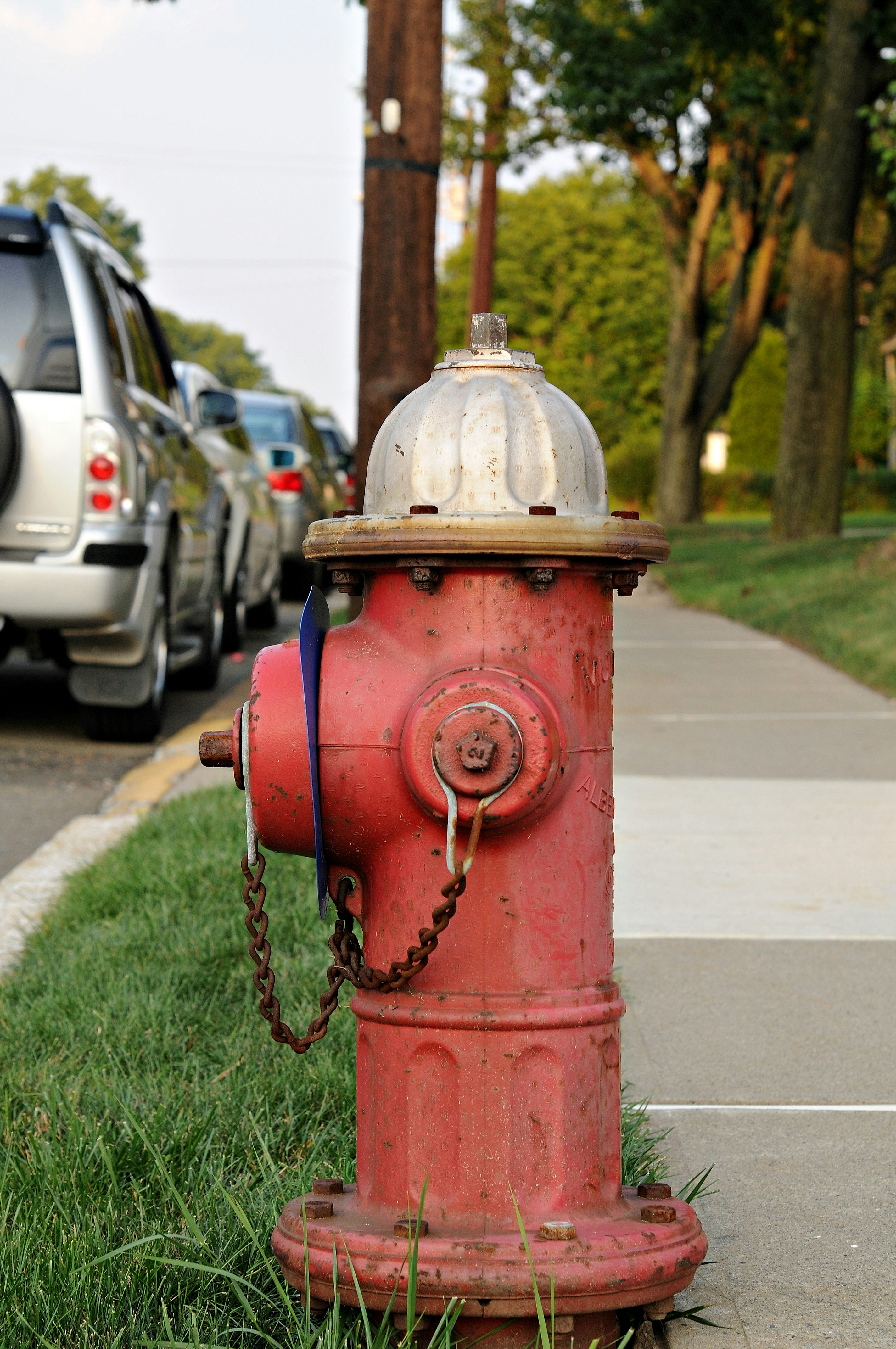 A vibrant red fire hydrant stands guard on a suburban sidewalk, complete with a blue strap and chain, amidst a backdrop of parked cars and greenery.