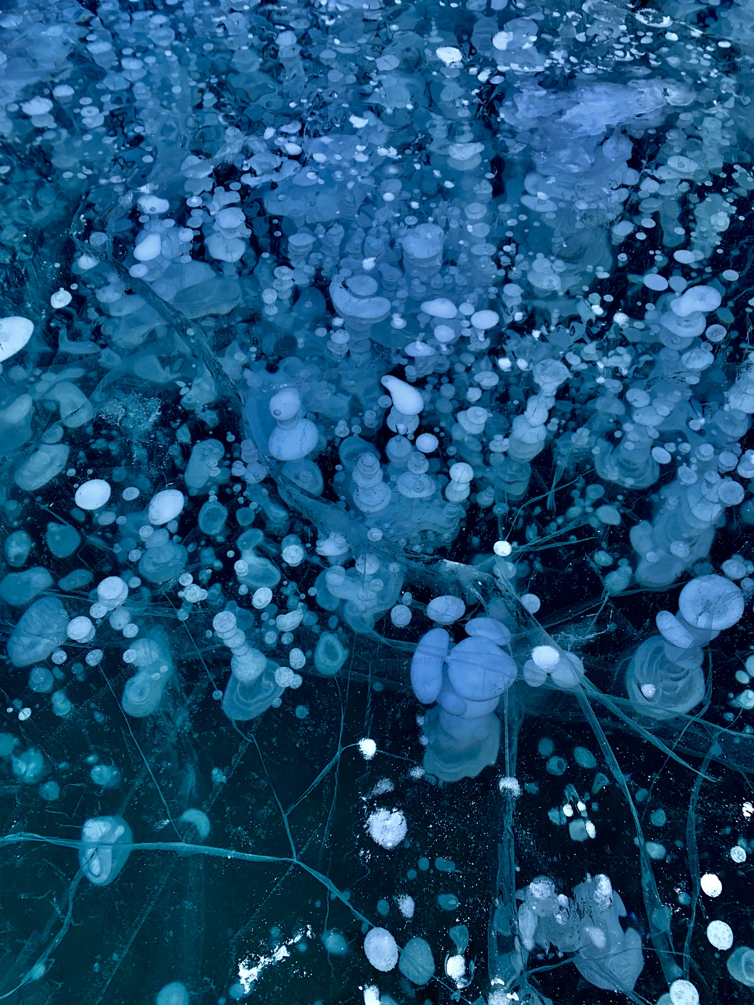 Cyan Bubble Field: Intricate Ice Microscape